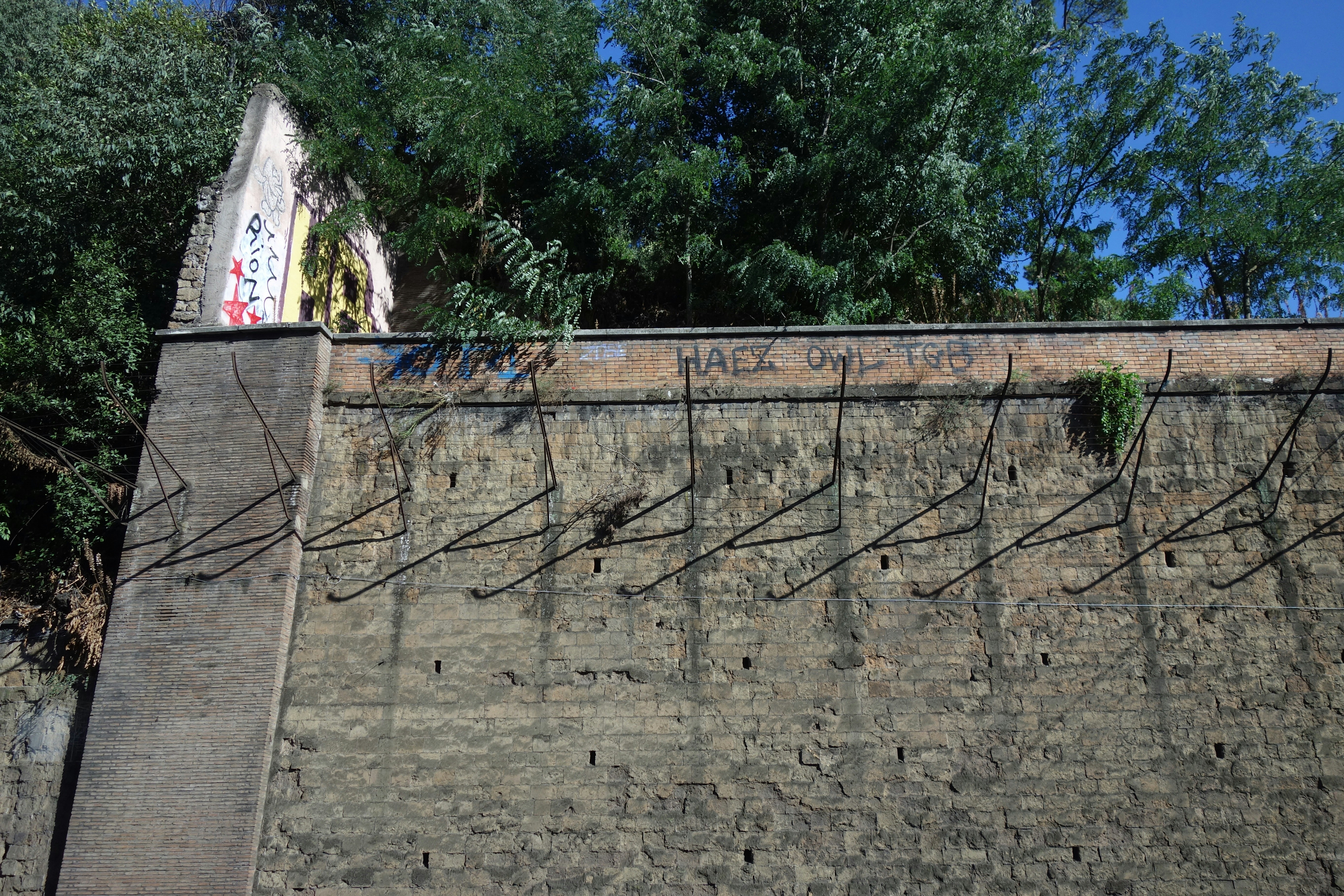 Urban Echoes: The Silent Stories of a Weathered Wall