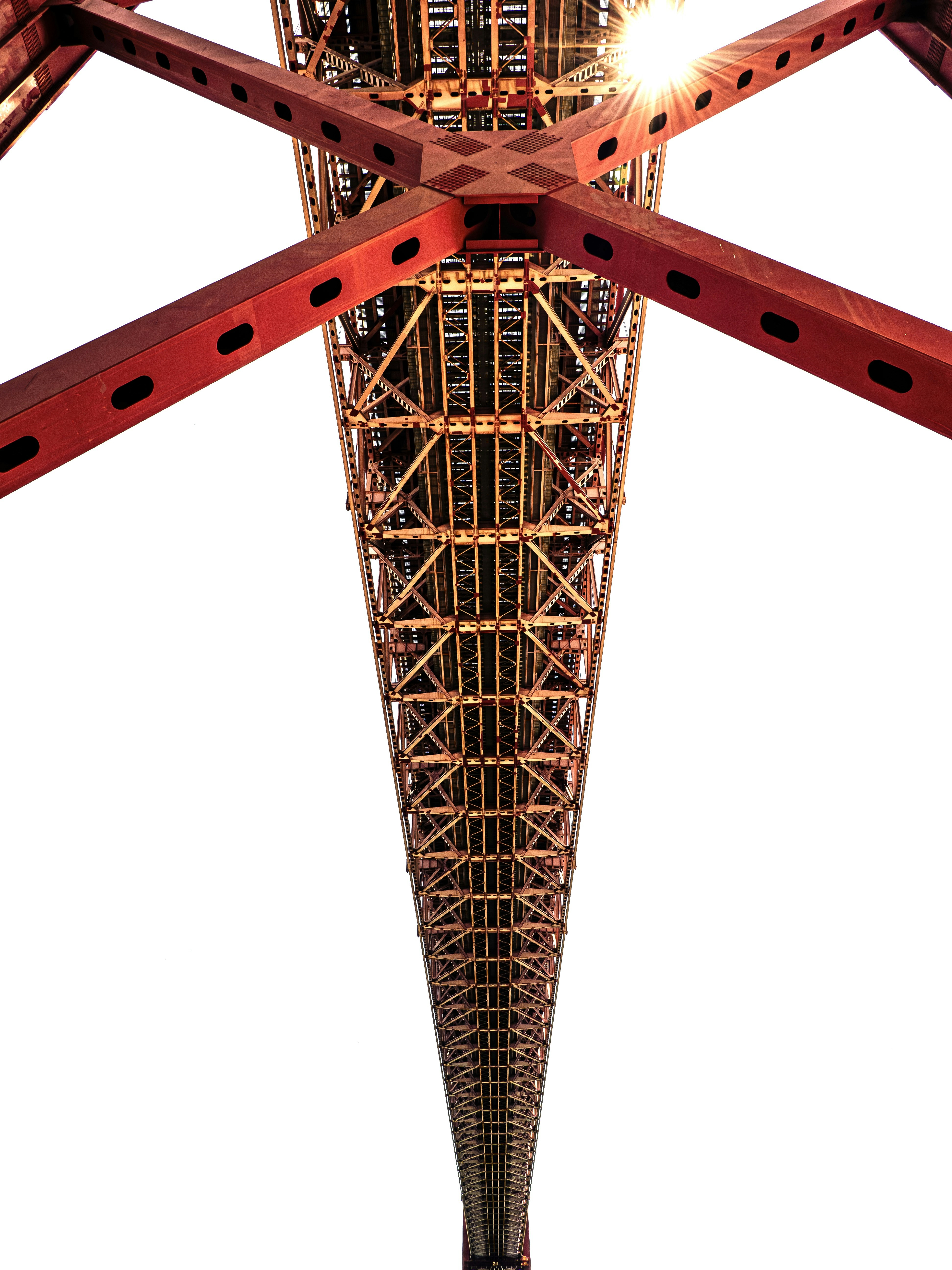 Under the Iron Canopy: A Structural Symphony