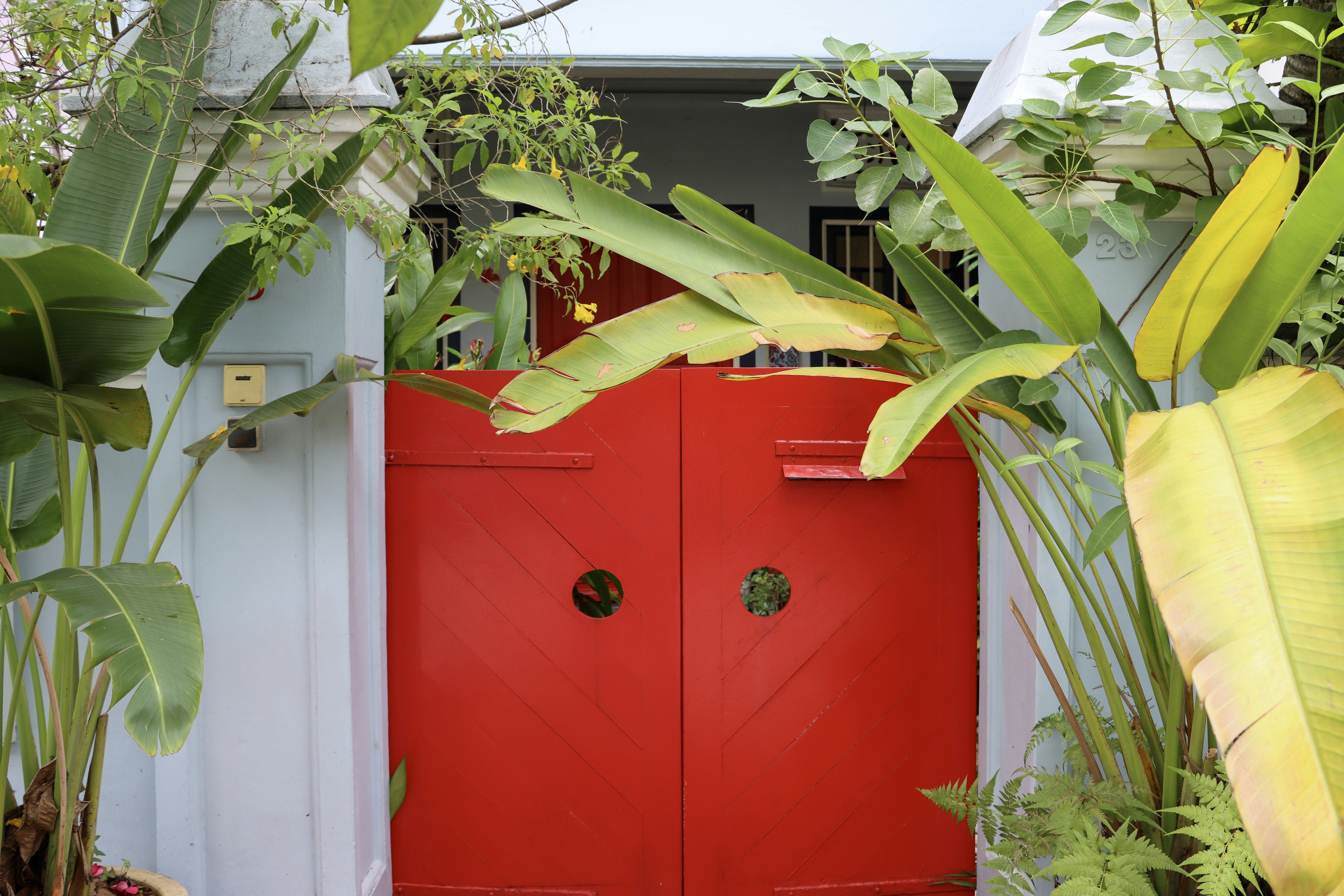 Crimson Doors Surrounded by Lush Tropical Foliage