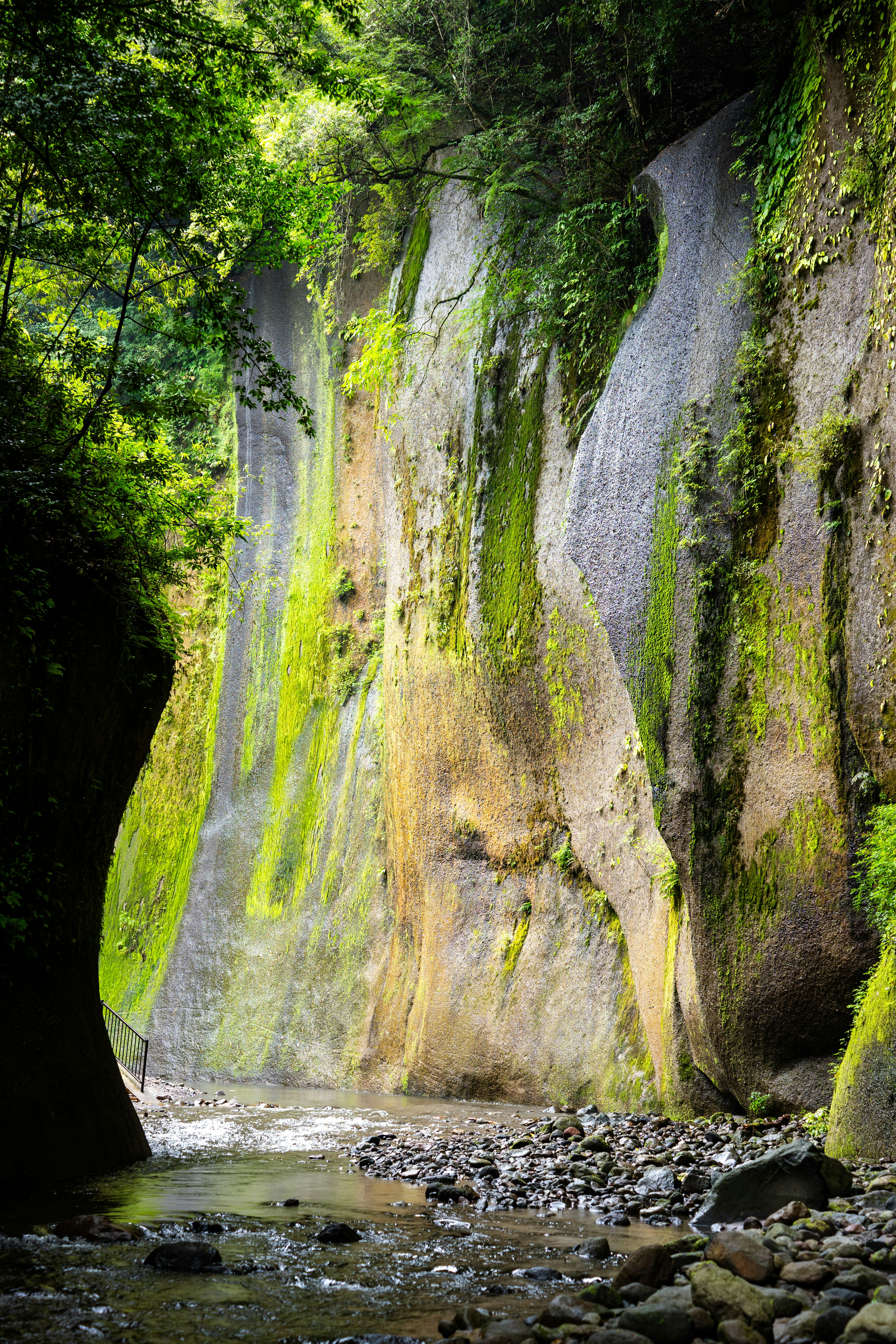 Whispers of the Green Canyon