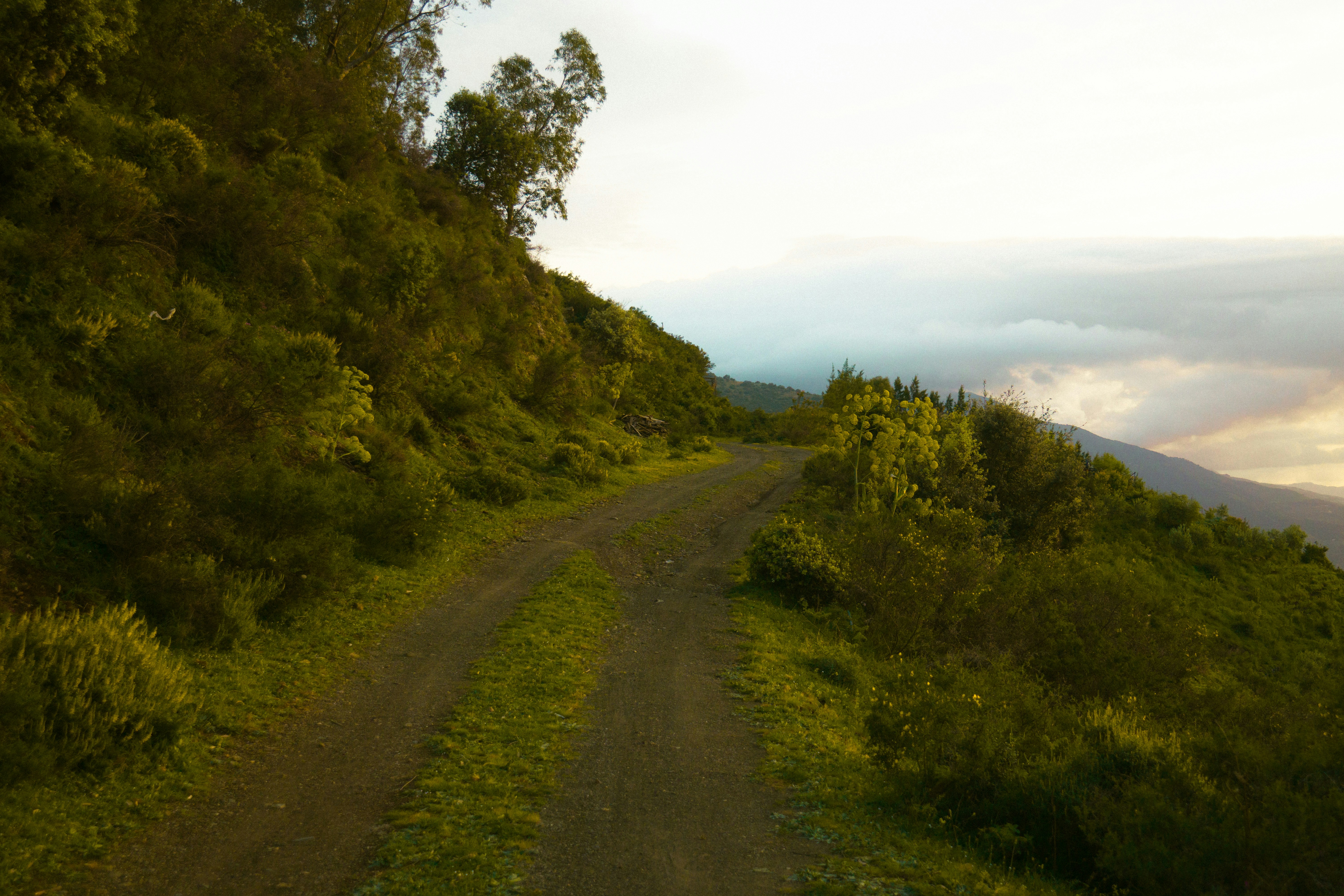 Dirt road winding through lush green hillsides