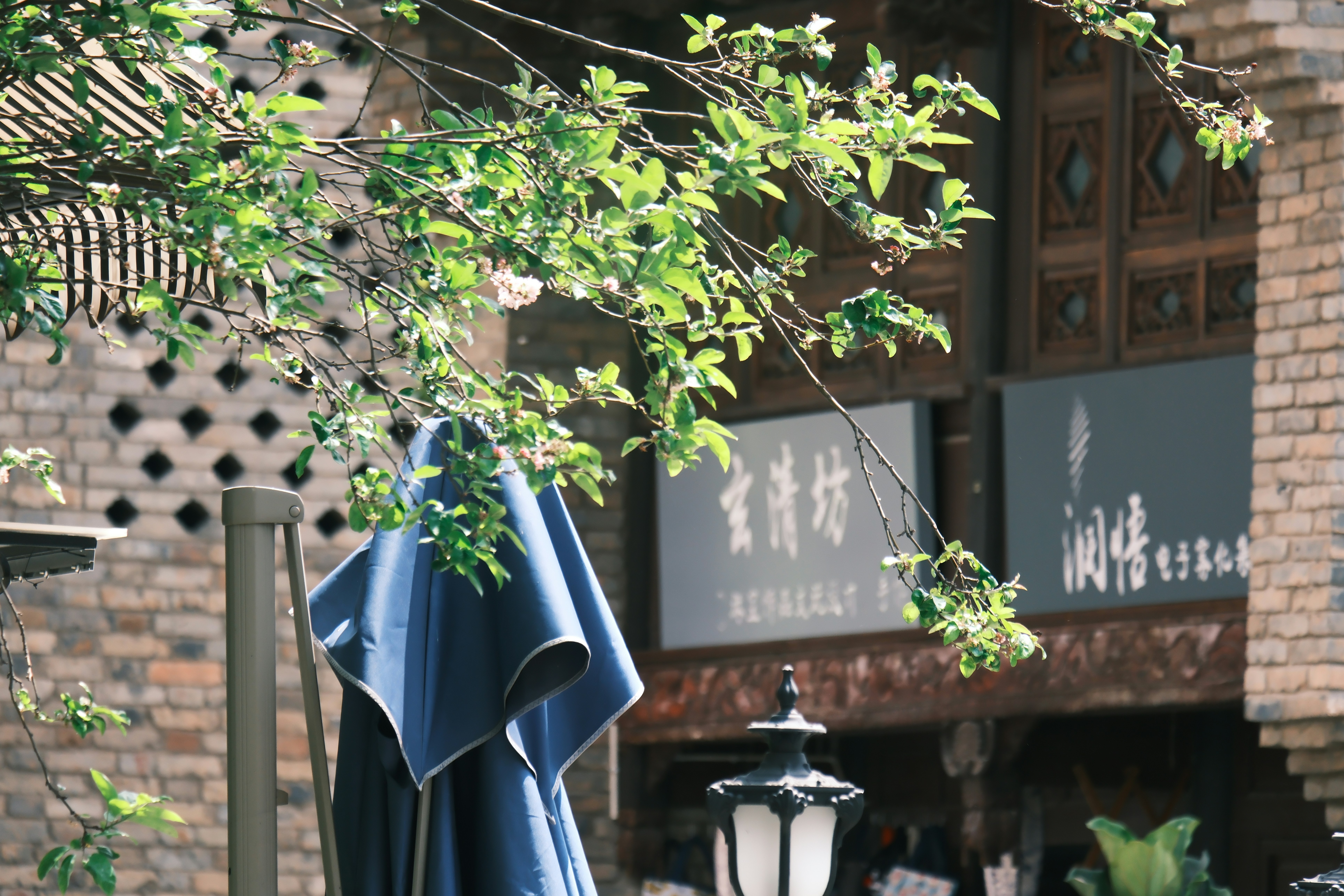 Green leaves and blue umbrella outside building