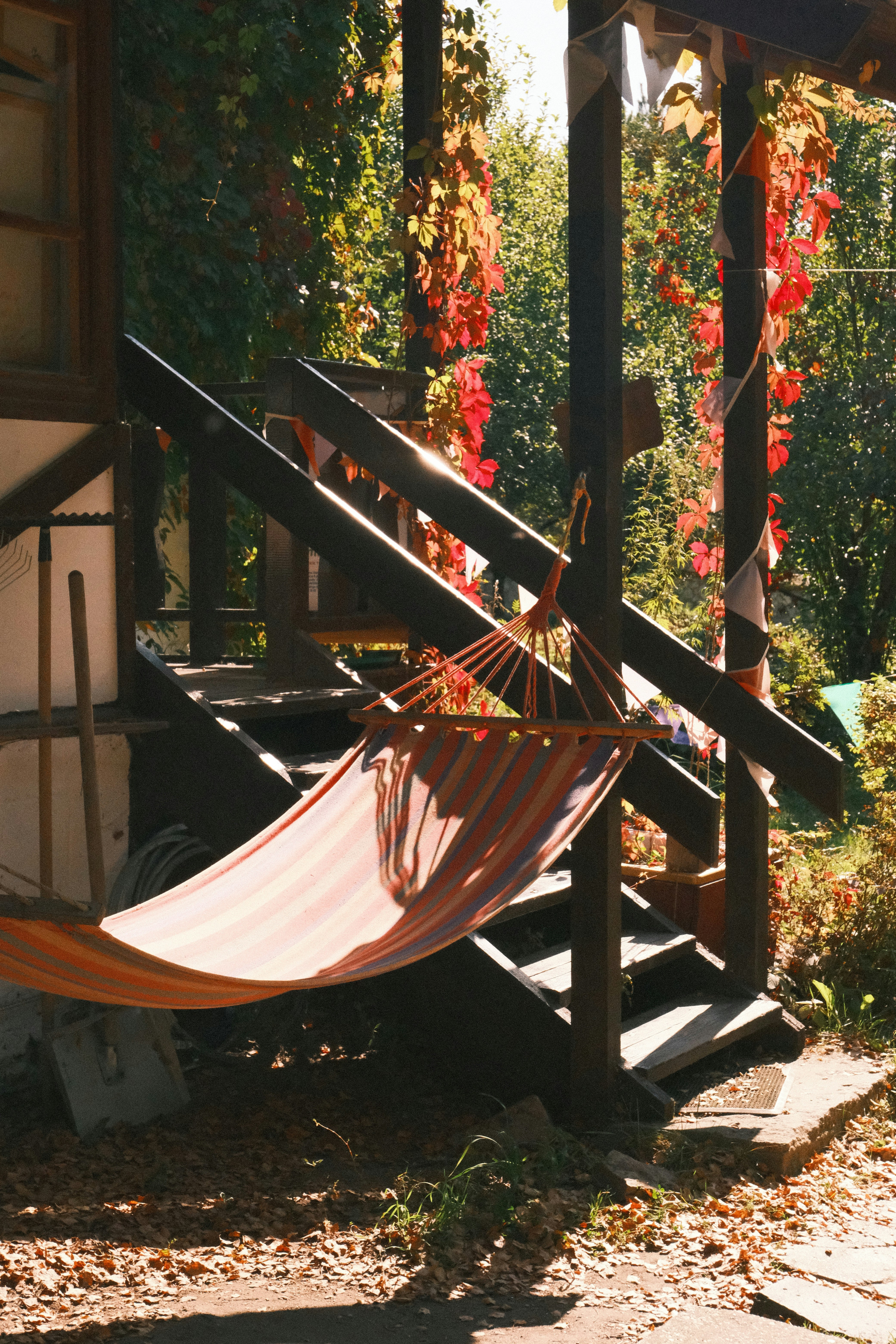 Serenity in Stripes: A Hammock's Embrace