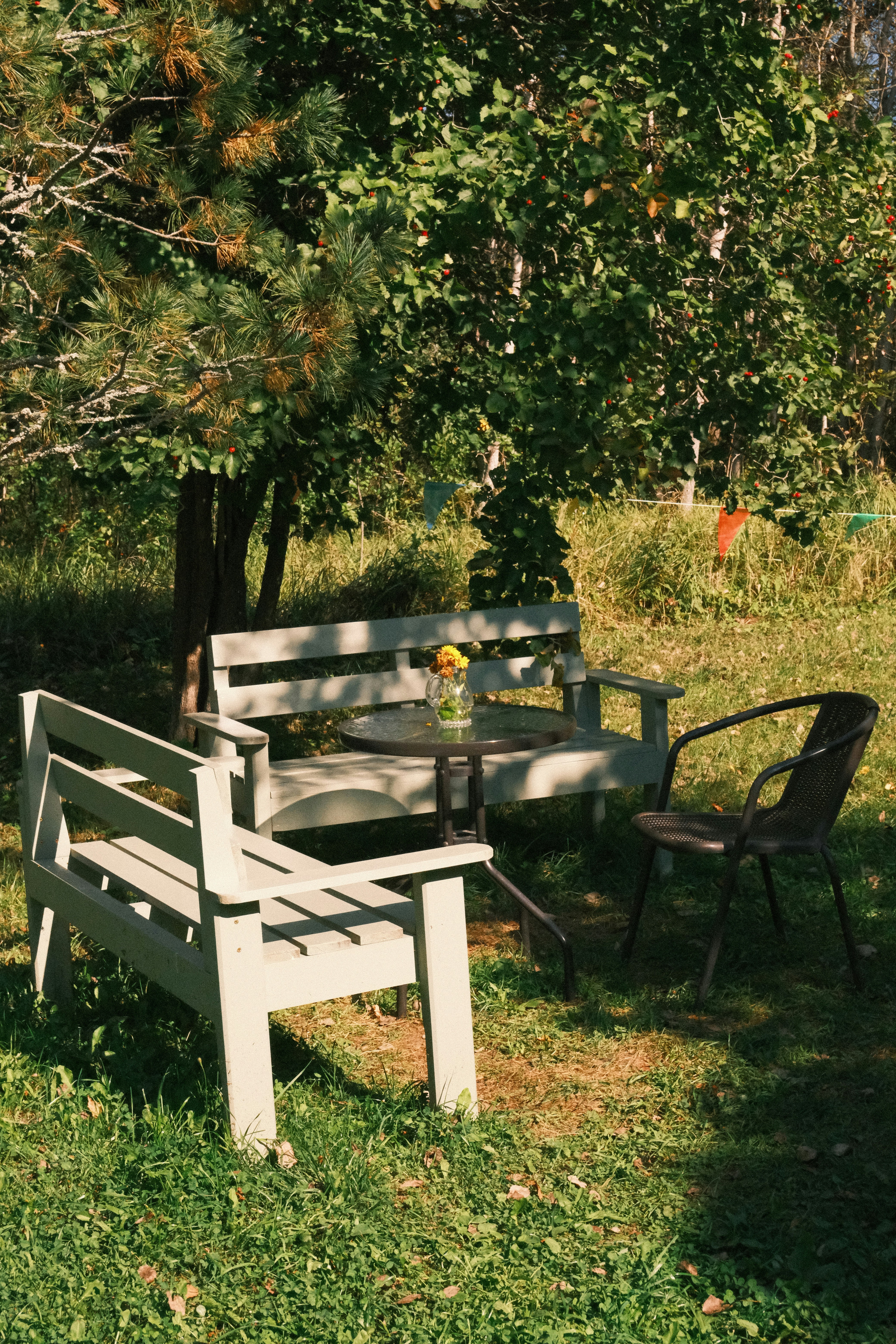 Photo by Tatiana Rudneva with Fujifilm X-T30 II