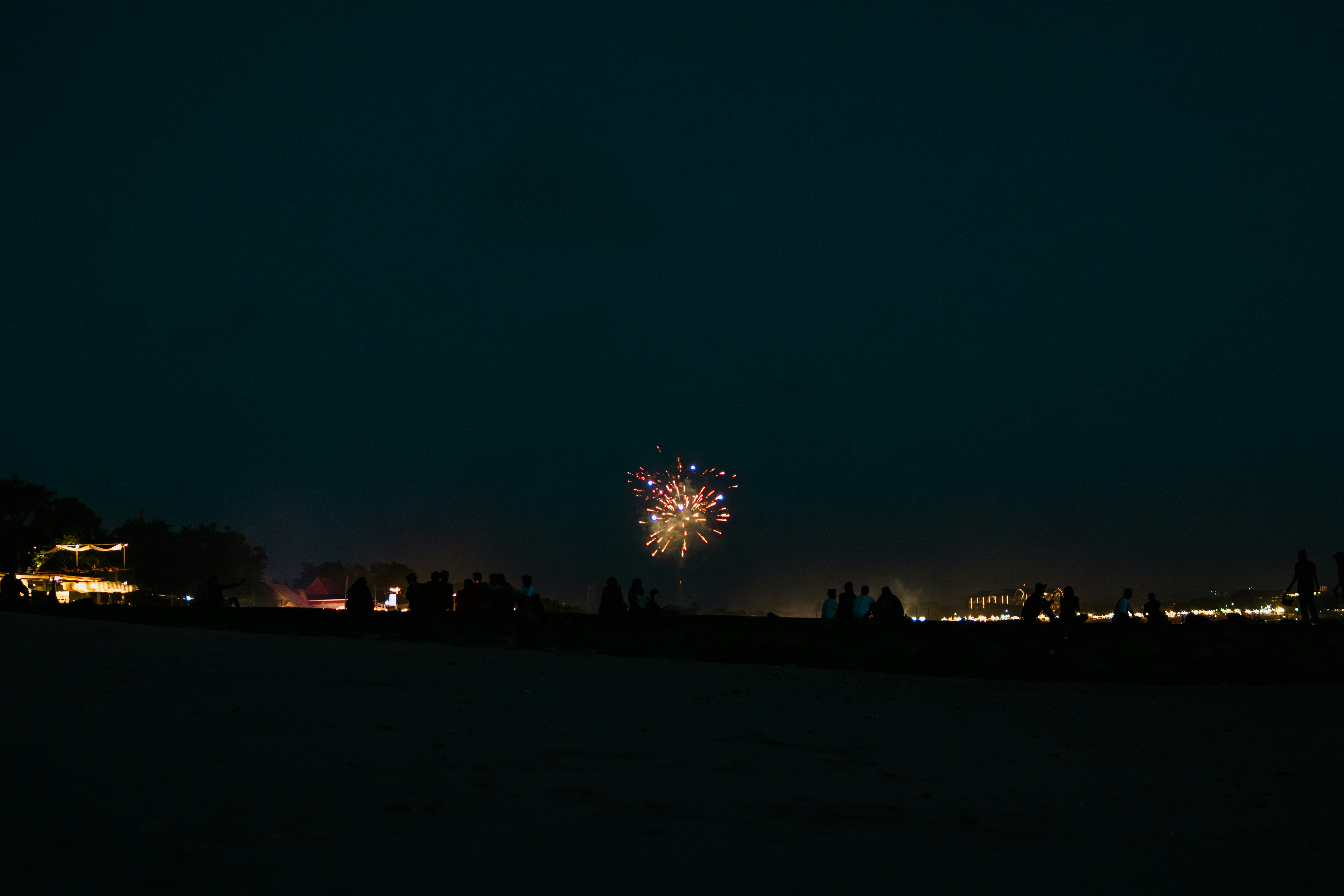 Luminous Nightscape: A Firework's Dance