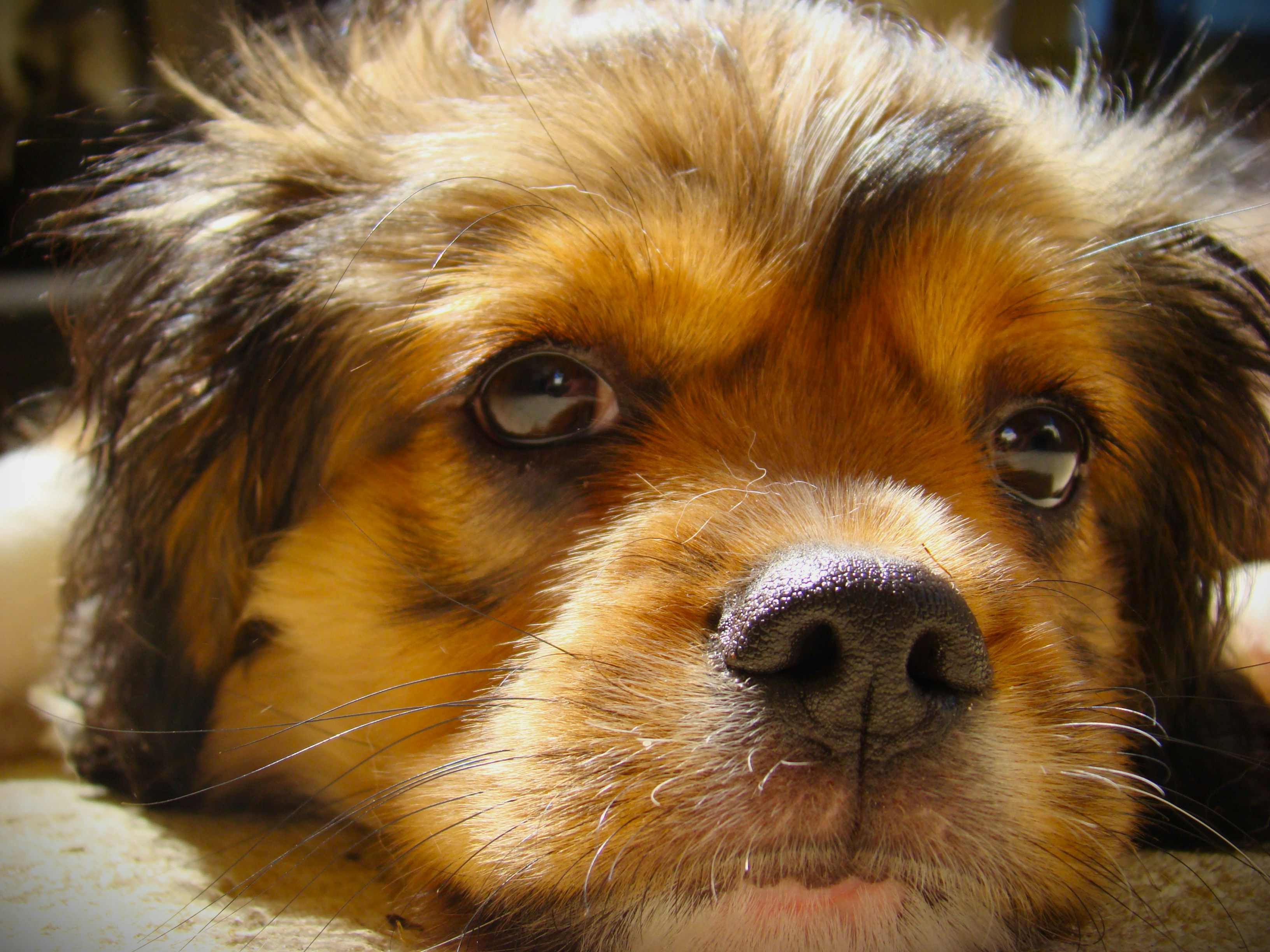 Photo by Ian with Sony Cyber-shot H9