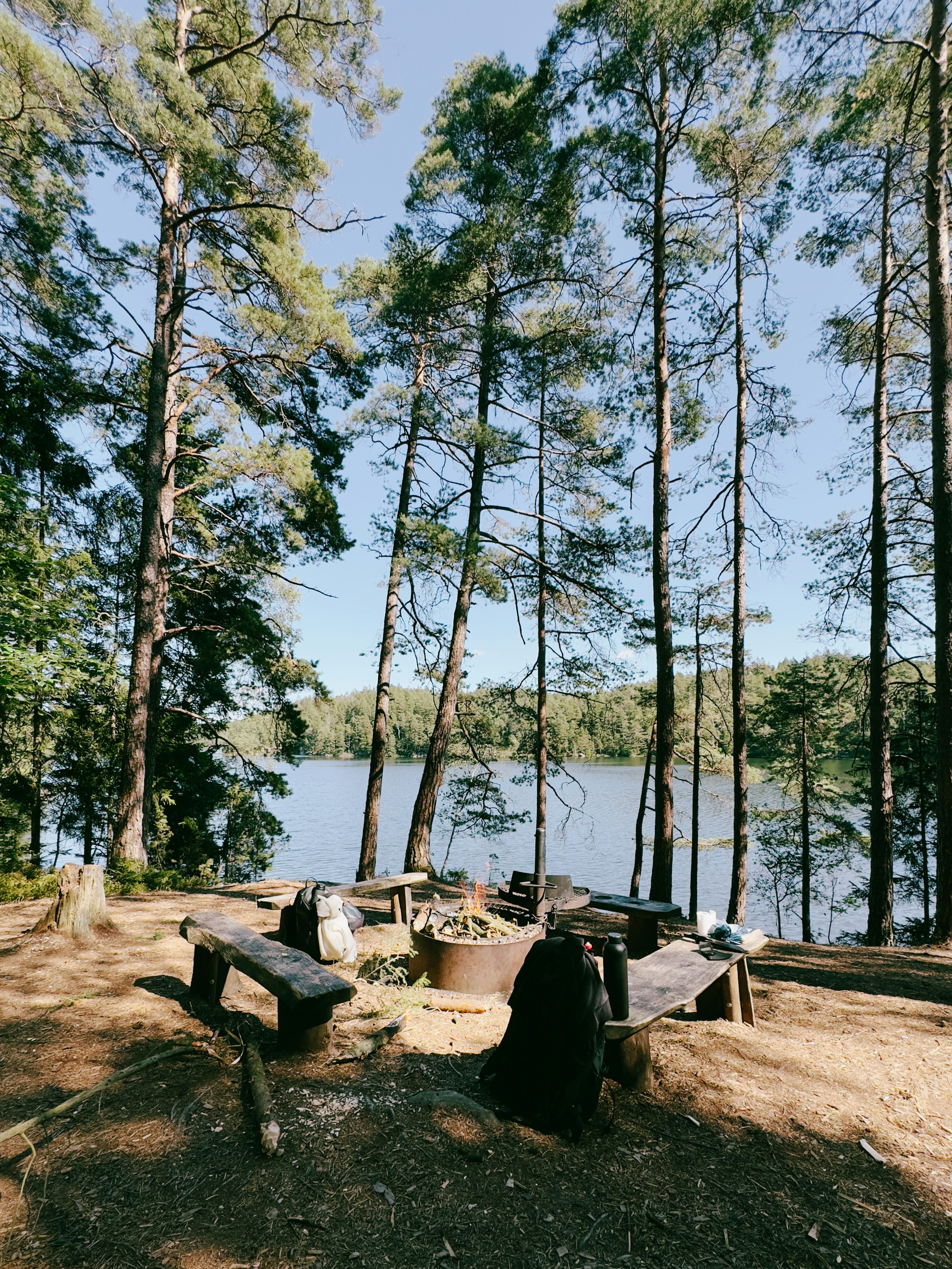 Campfire pit with benches by a serene lake.