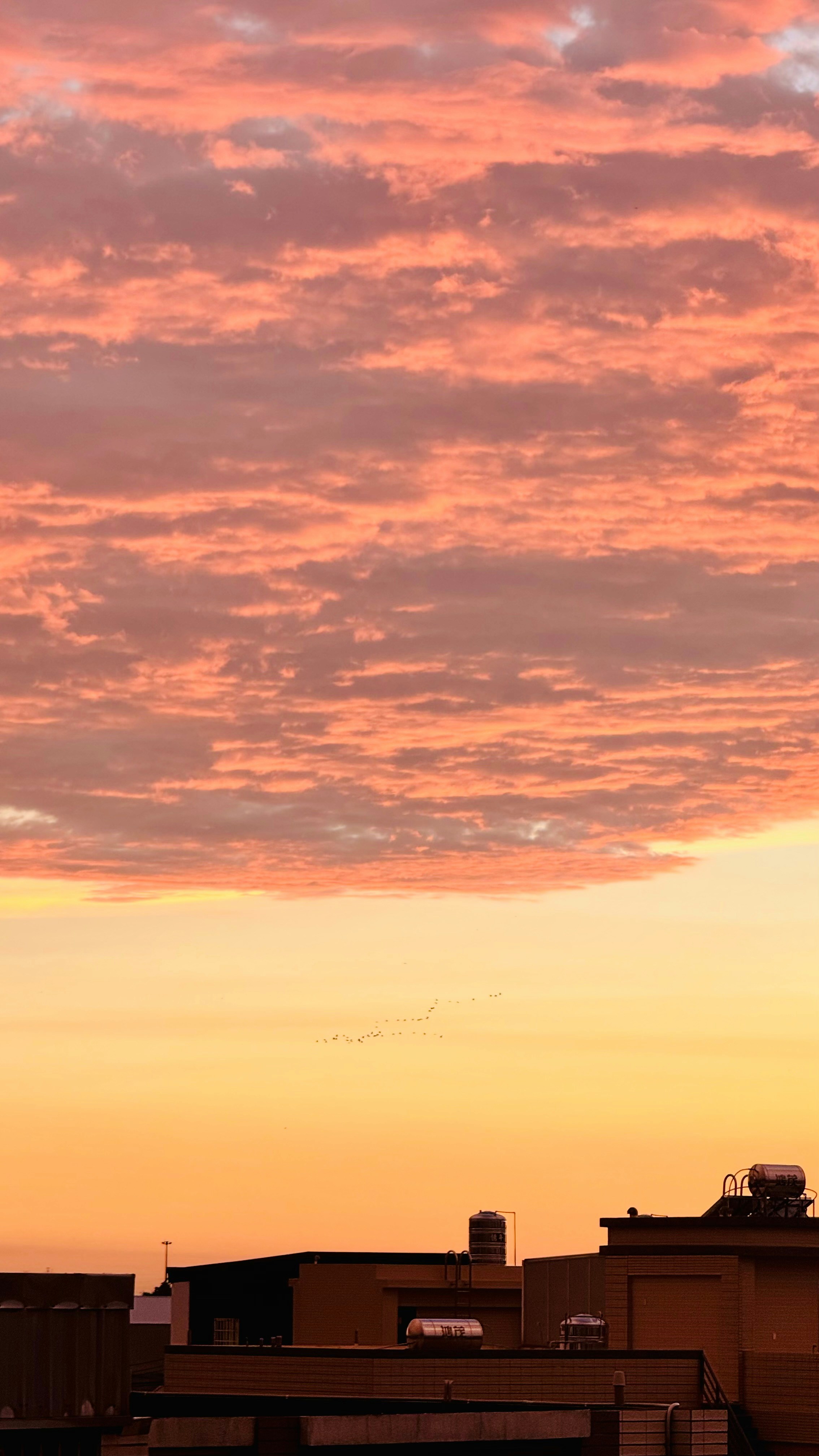 A vibrant sunset casts a warm glow over rooftops, with clouds reflecting hues of pink and orange. Silhouetted structures frame the tranquil evening sky.