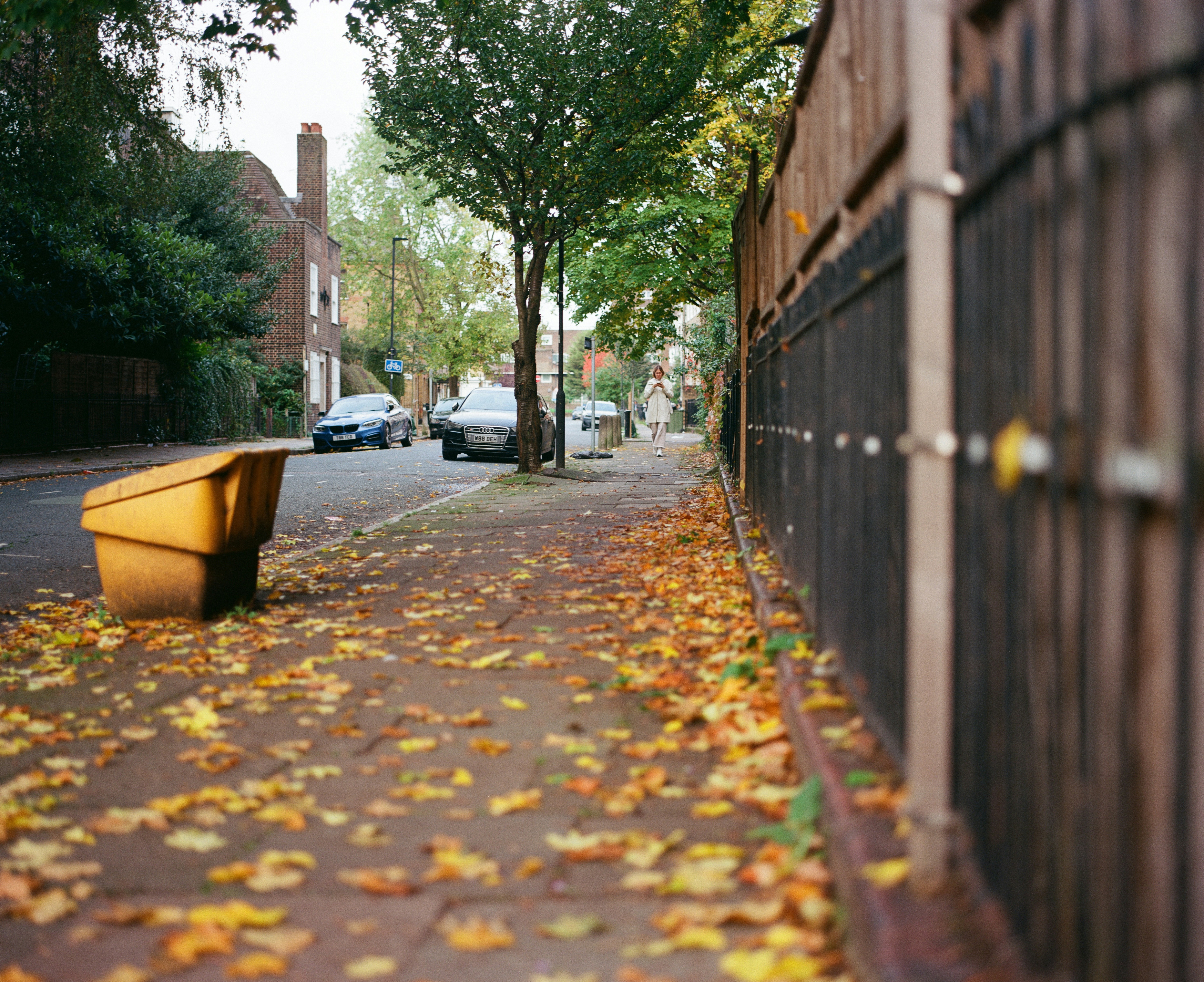 Autumn Vanishing Point: Leaves, Fence, and City Quiet