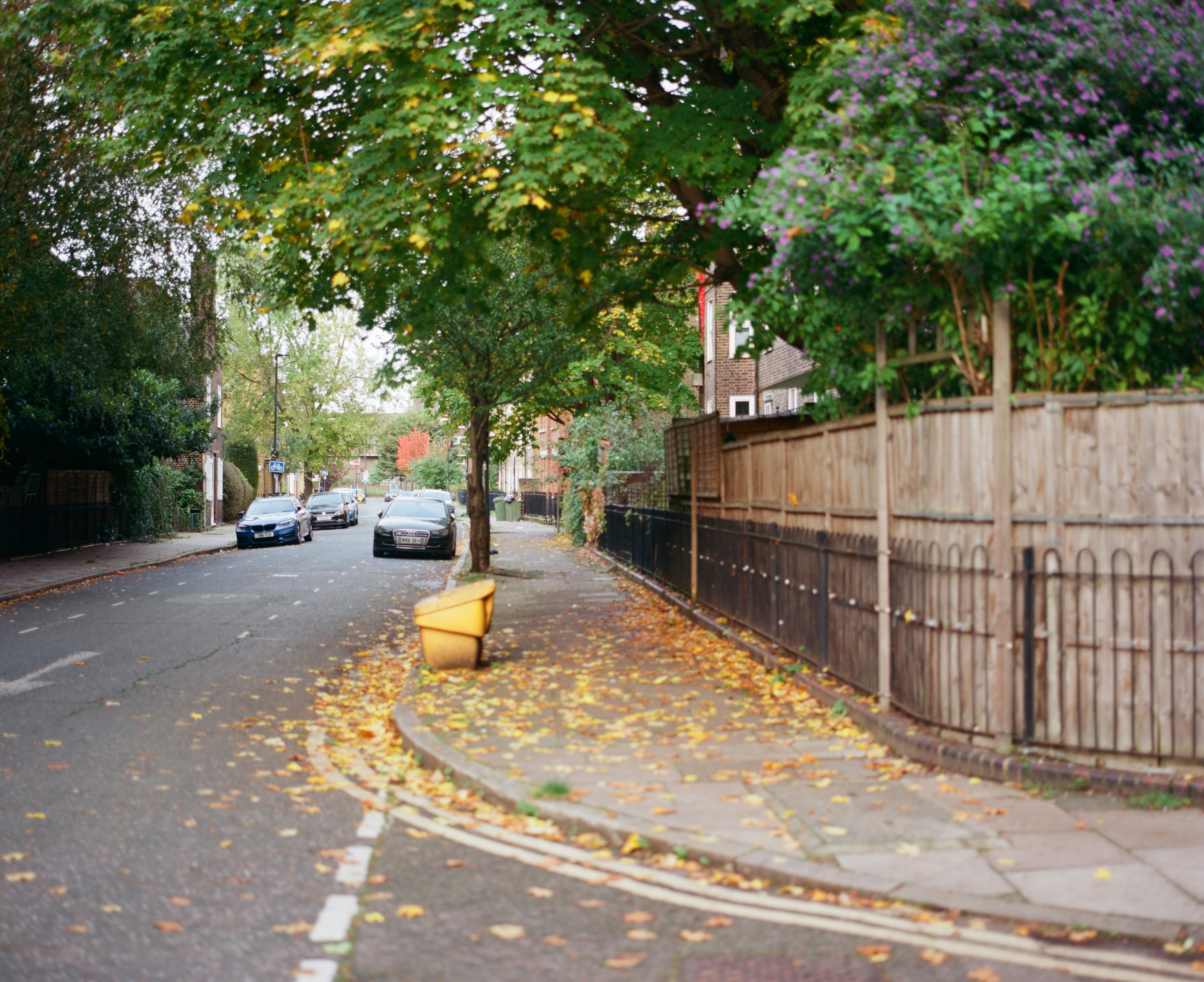 Autumn afternoon in a quiet London street, vibrant leaves and serene atmosphere.