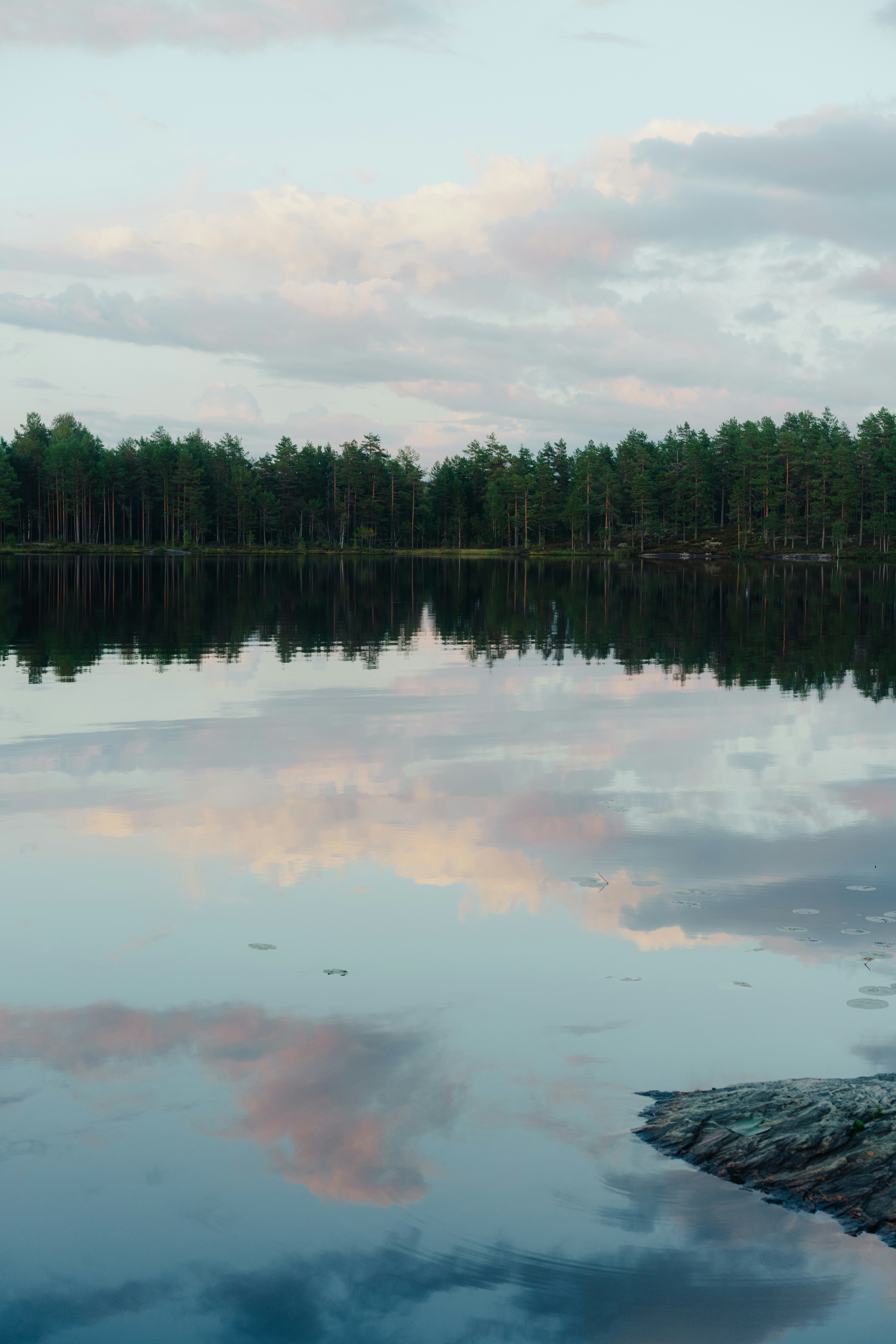 Calm lake reflecting pine forest and cloudy sky