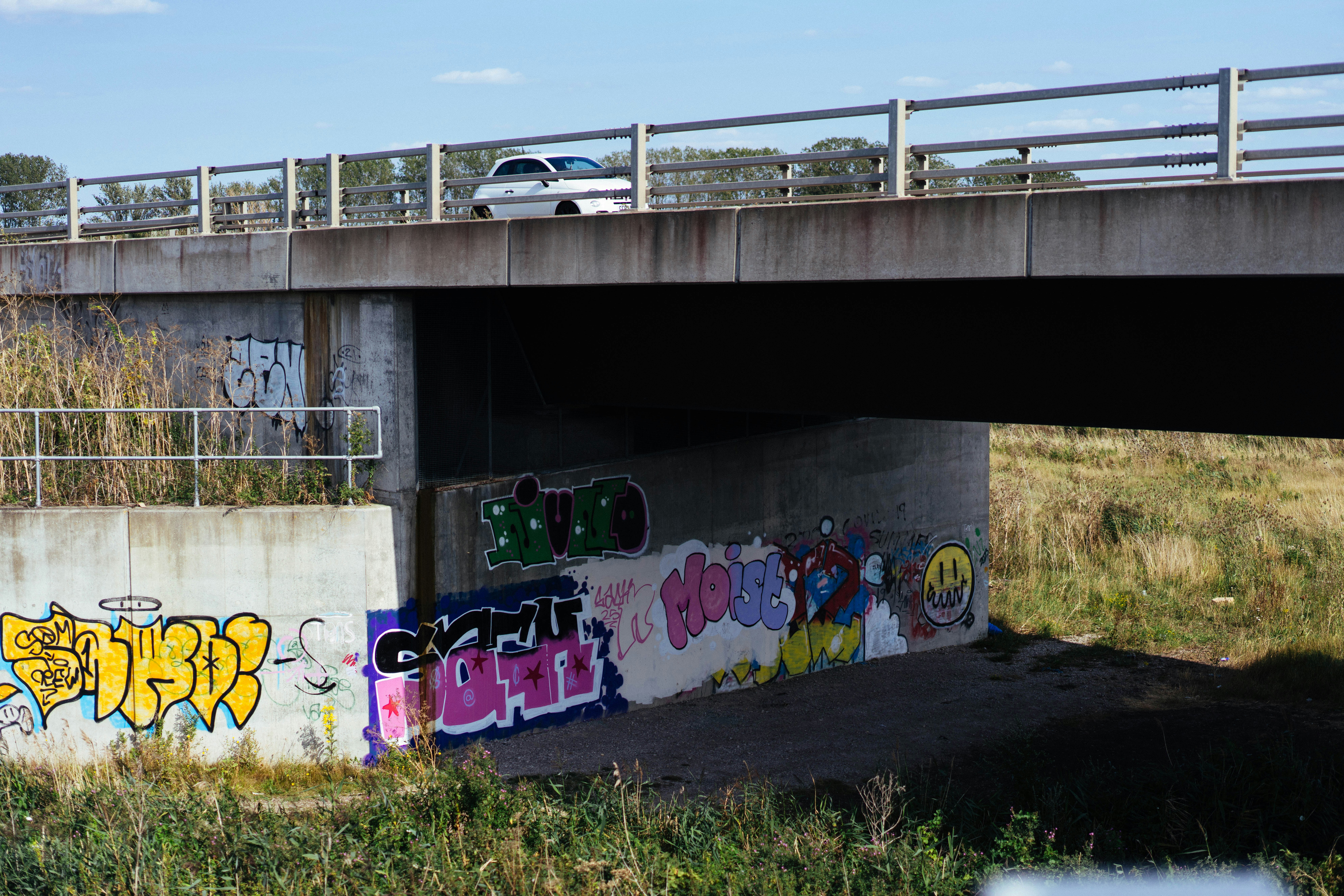 Vibrant graffiti adorns the concrete wall beneath a highway overpass, showcasing urban artistry in a natural setting. The scene captures the interplay between infrastructure and creativity.