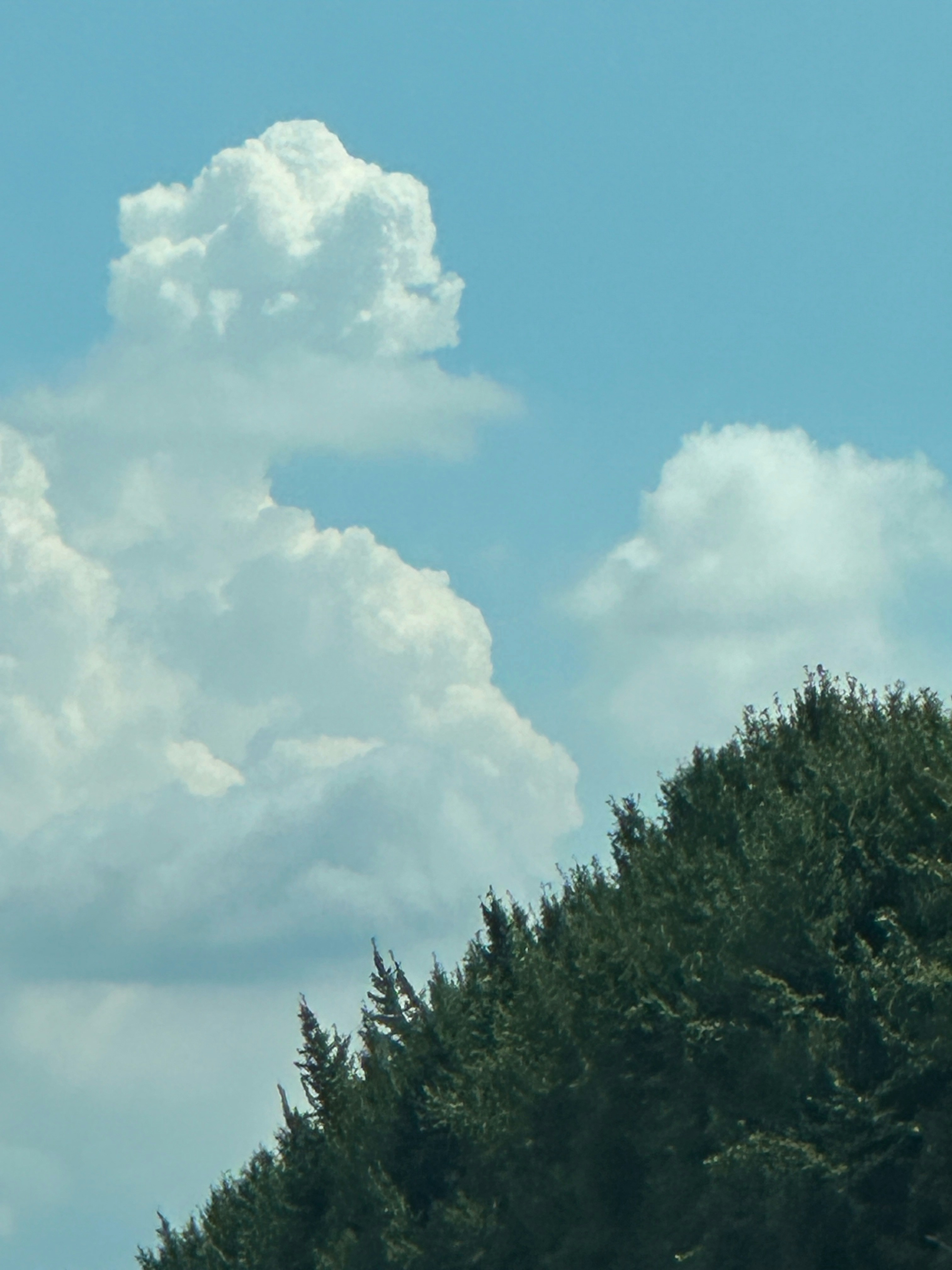 Whispers of the Sky: A Cloudy Day's Embrace