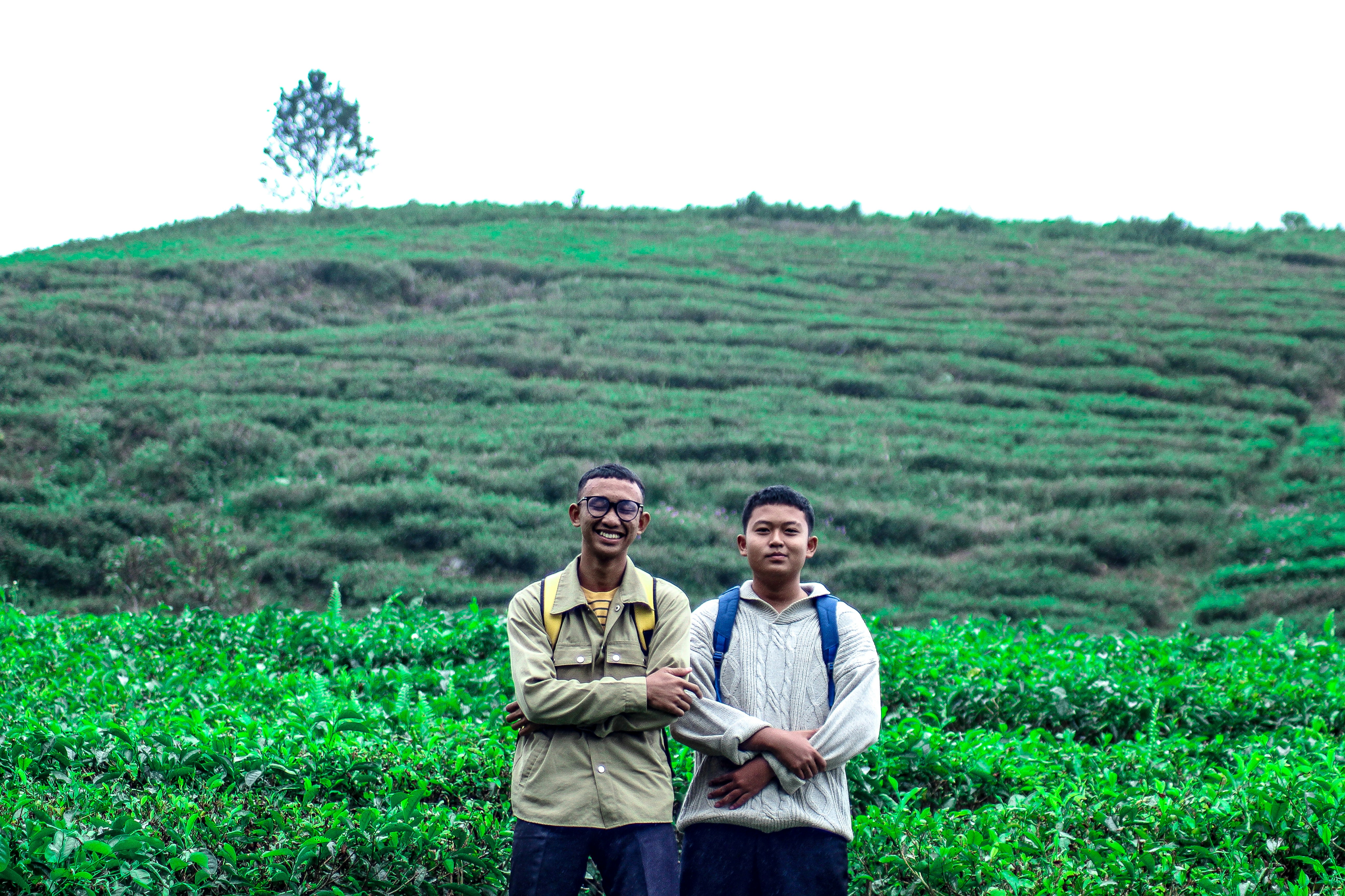 Two young men standing in a lush green tea plantation.