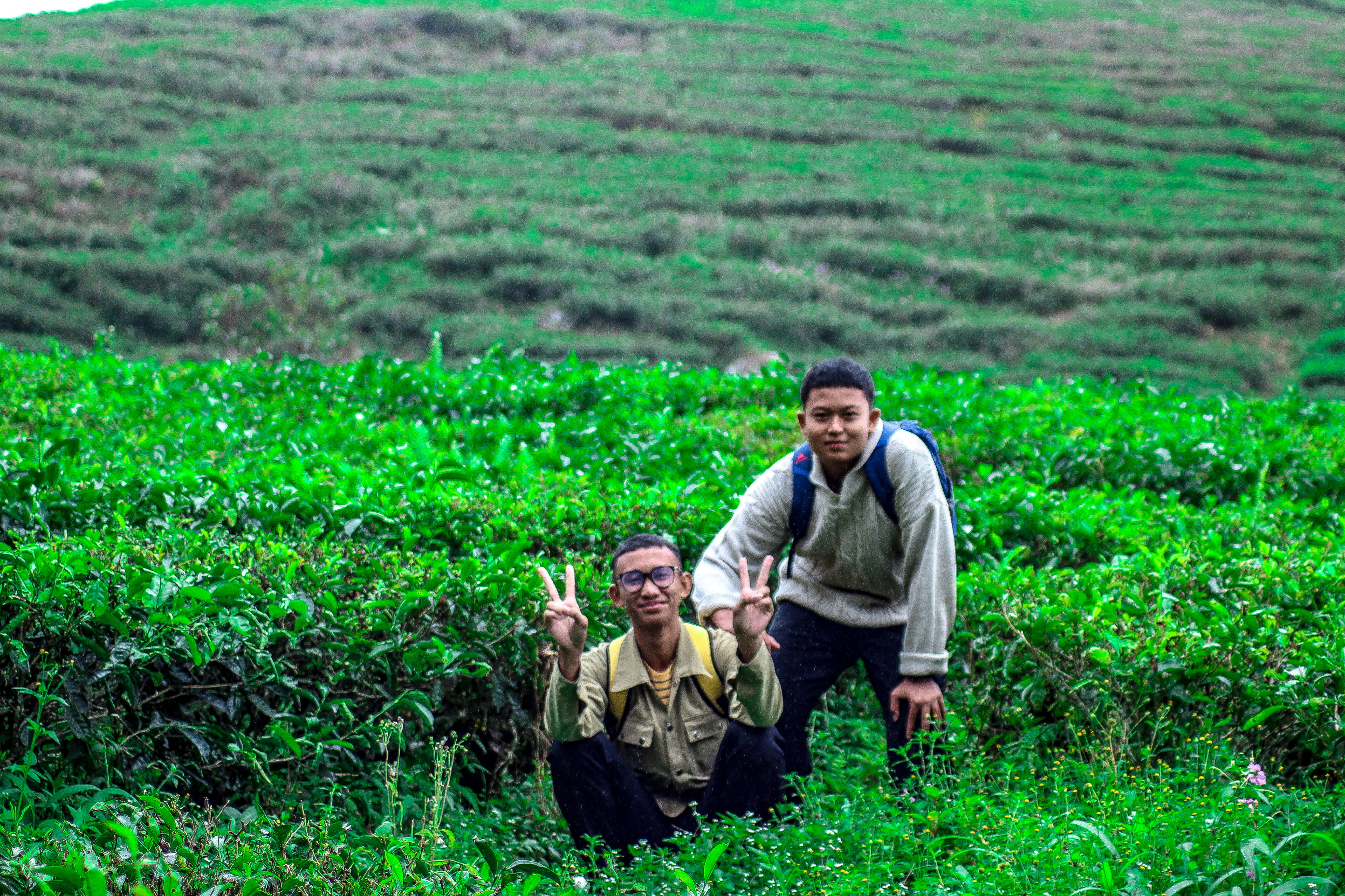 Two friends posing playfully in a vibrant tea plantation, surrounded by lush green bushes.