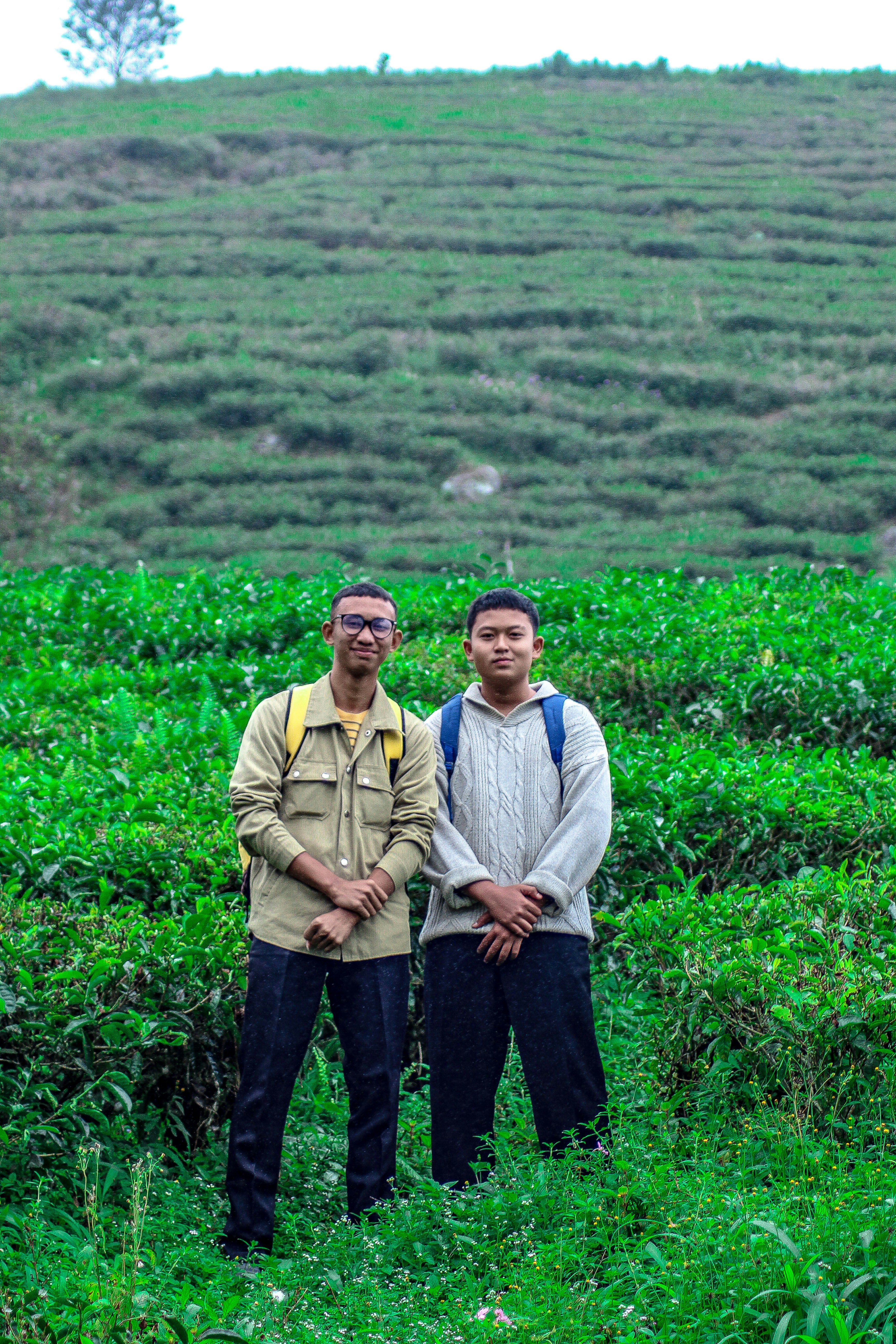 Harmony Amidst the Green Fields
