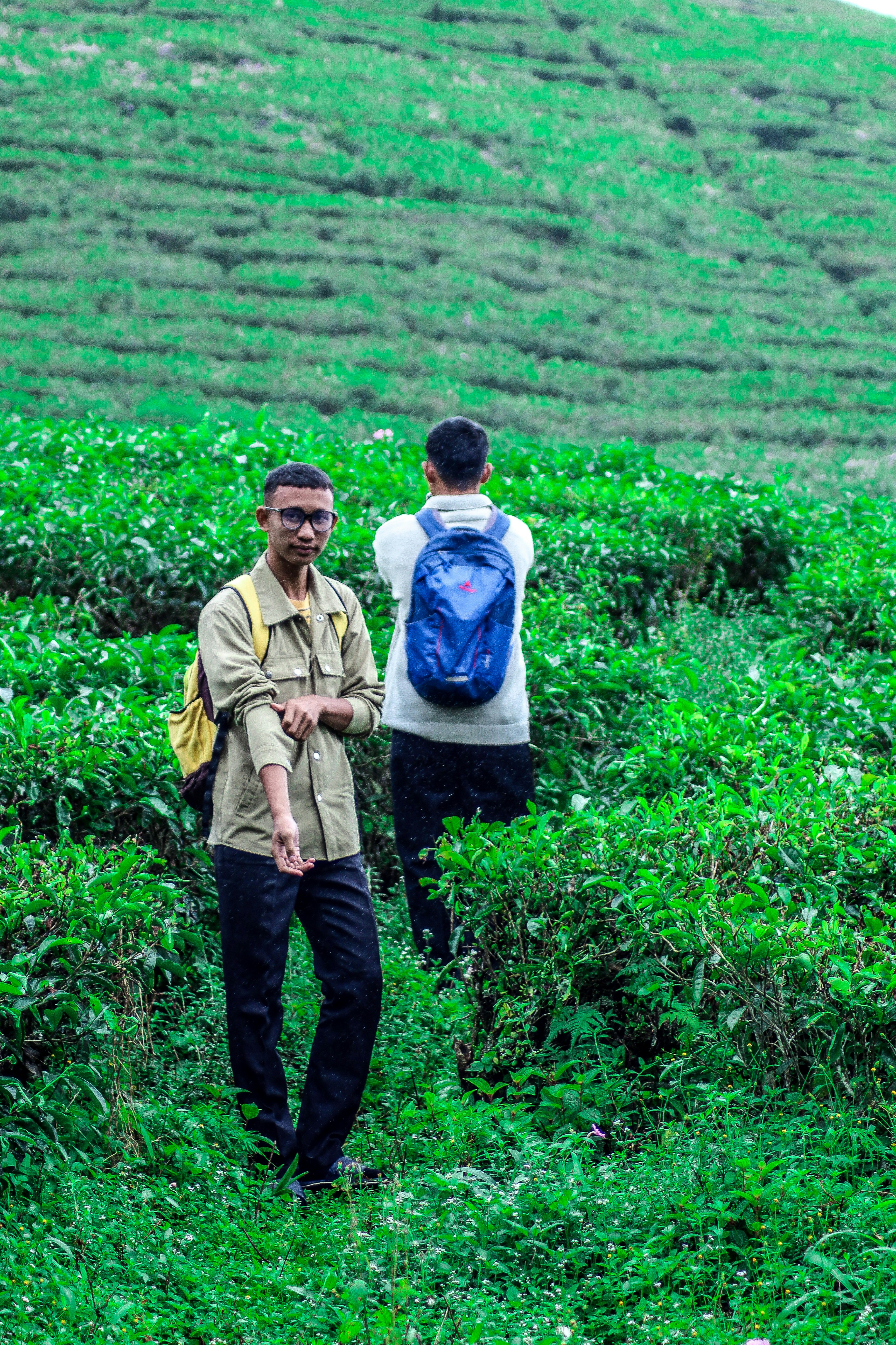 Explorers Amidst the Green Sea