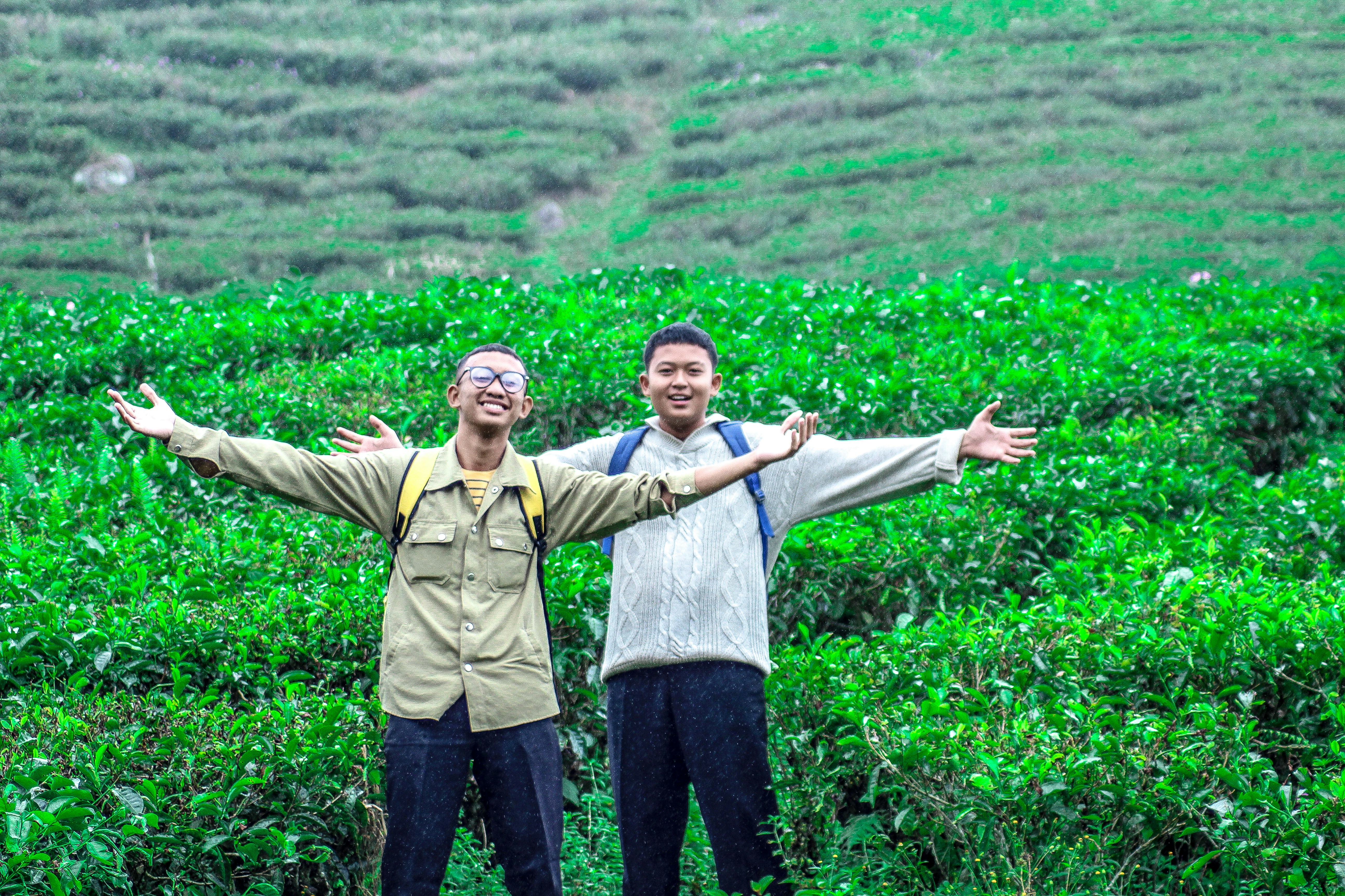 Two friends with arms outstretched in a green tea field