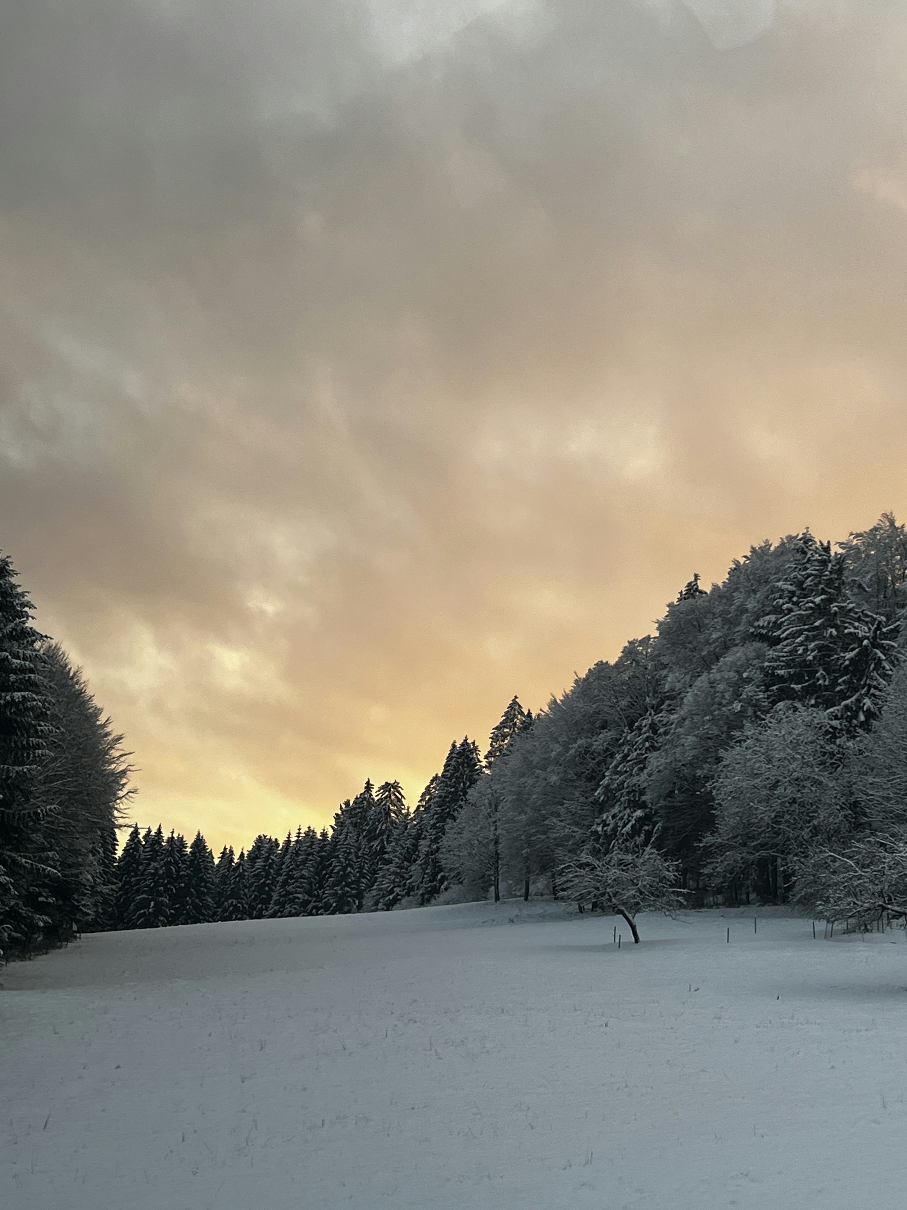 Whispers of Winter's Embrace