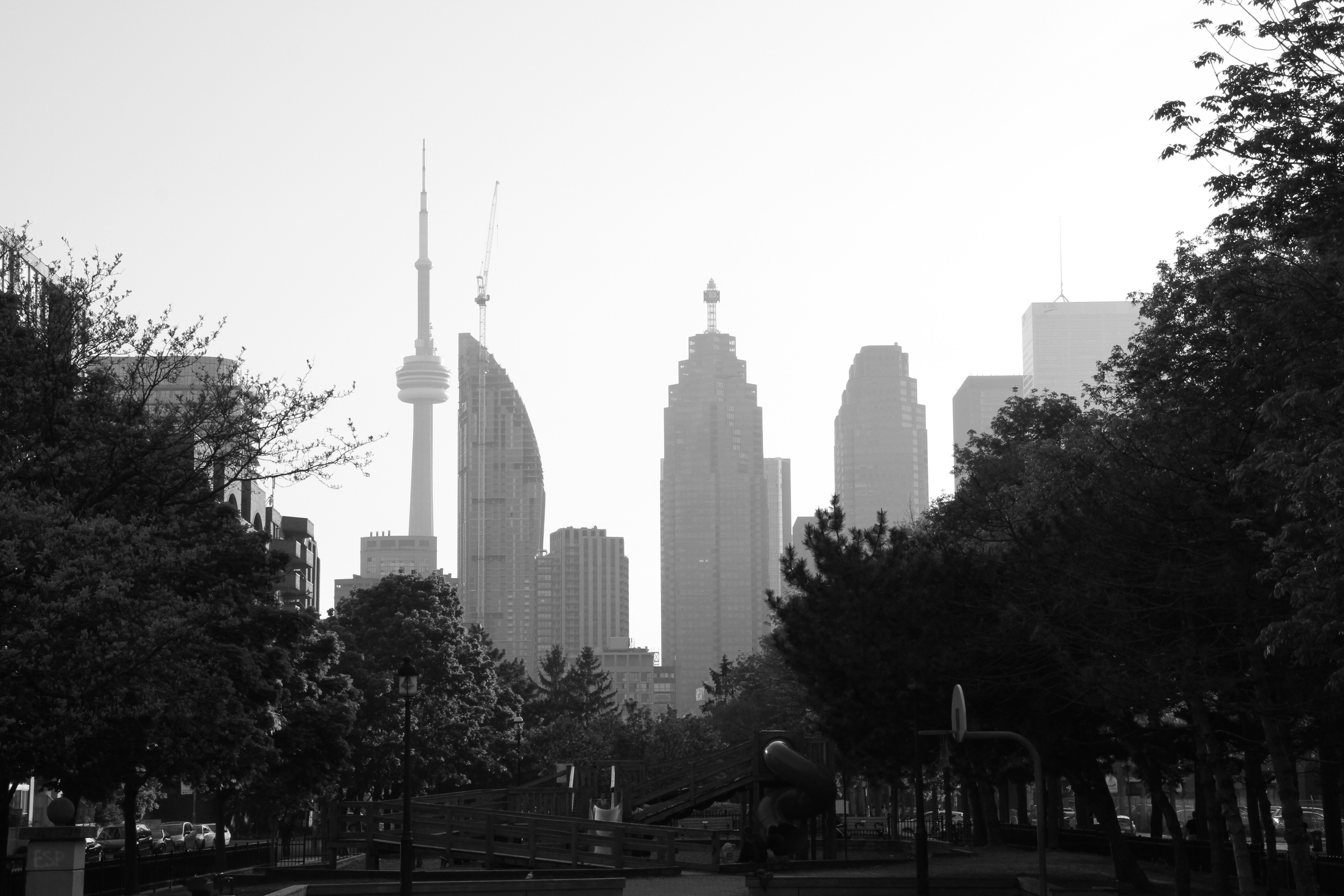 Urban Silhouettes: A Skyline in Monochrome
