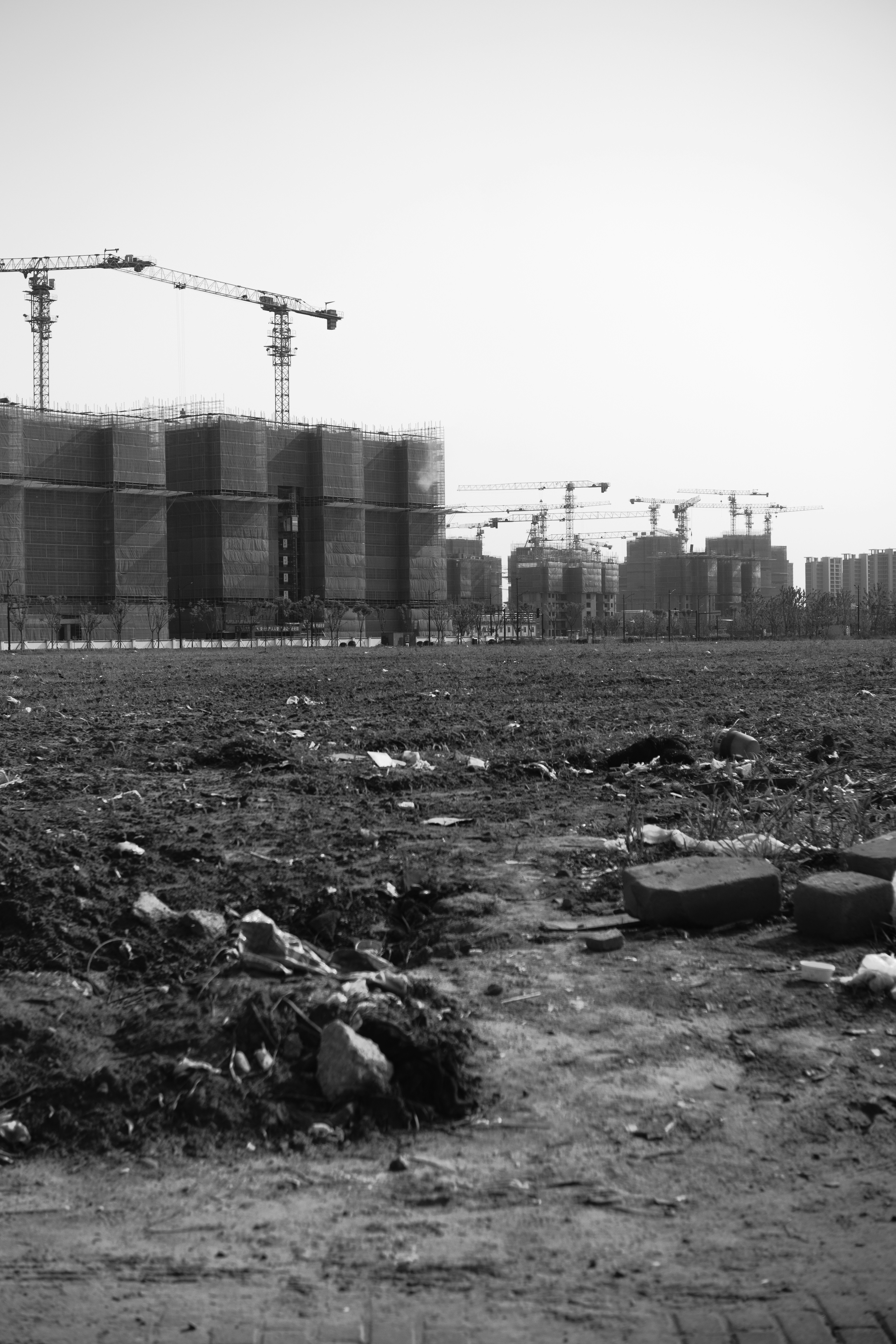 Emerging Urban Landscape: A Study in Progress