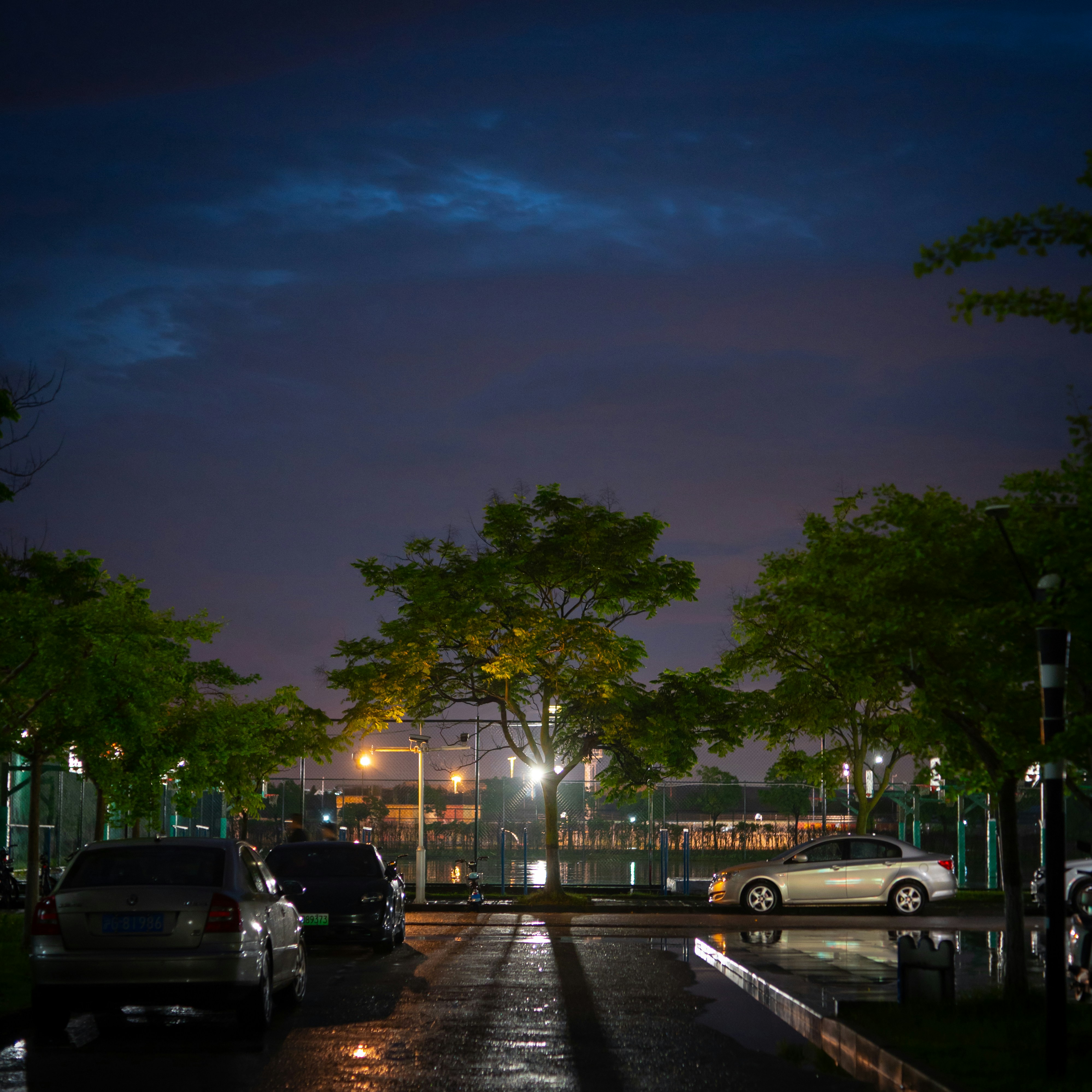 Twilight Serenity in an Urban Oasis