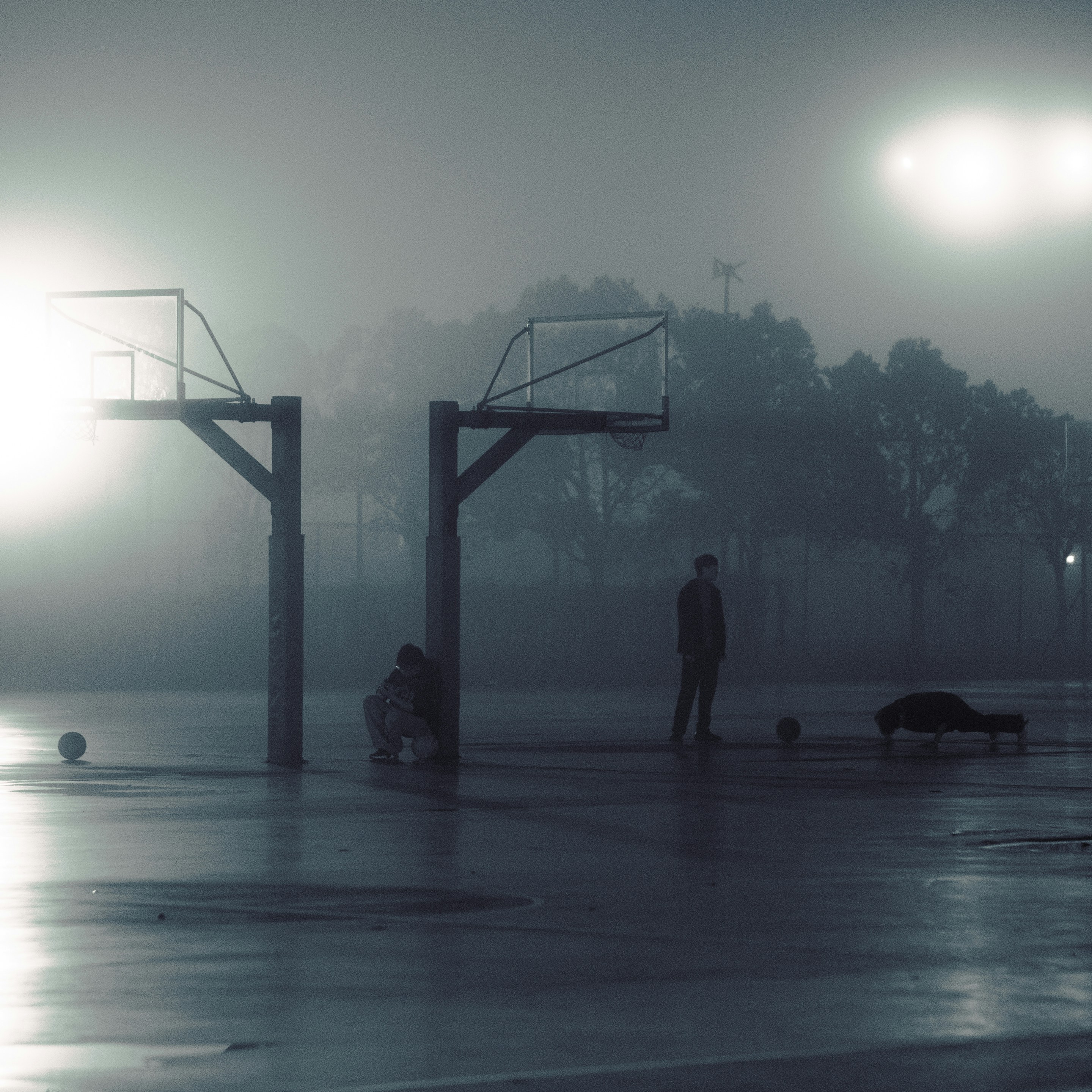 Echoes of the Court in the Mist