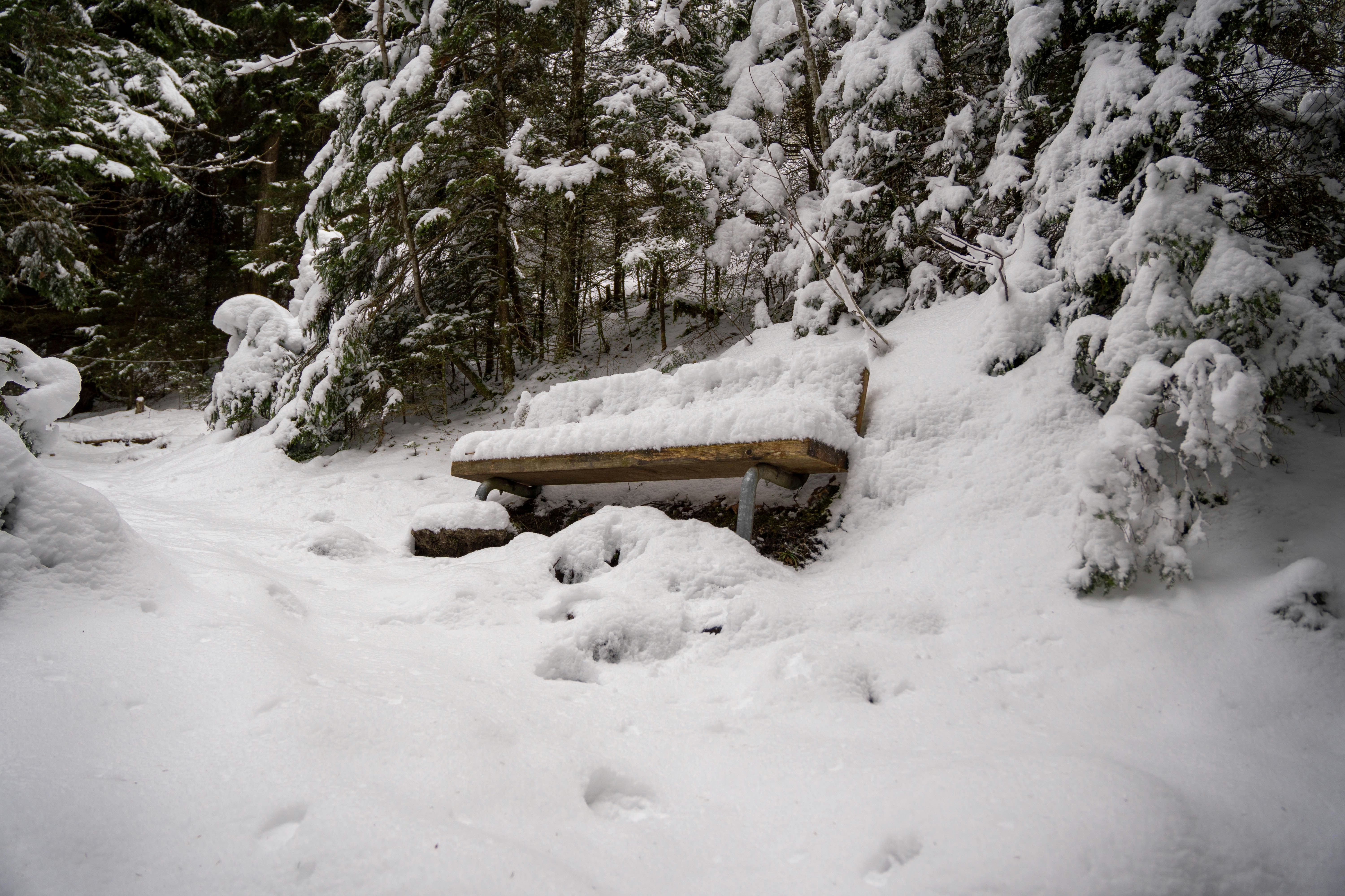 Whispers of Winter: A Hidden Retreat
