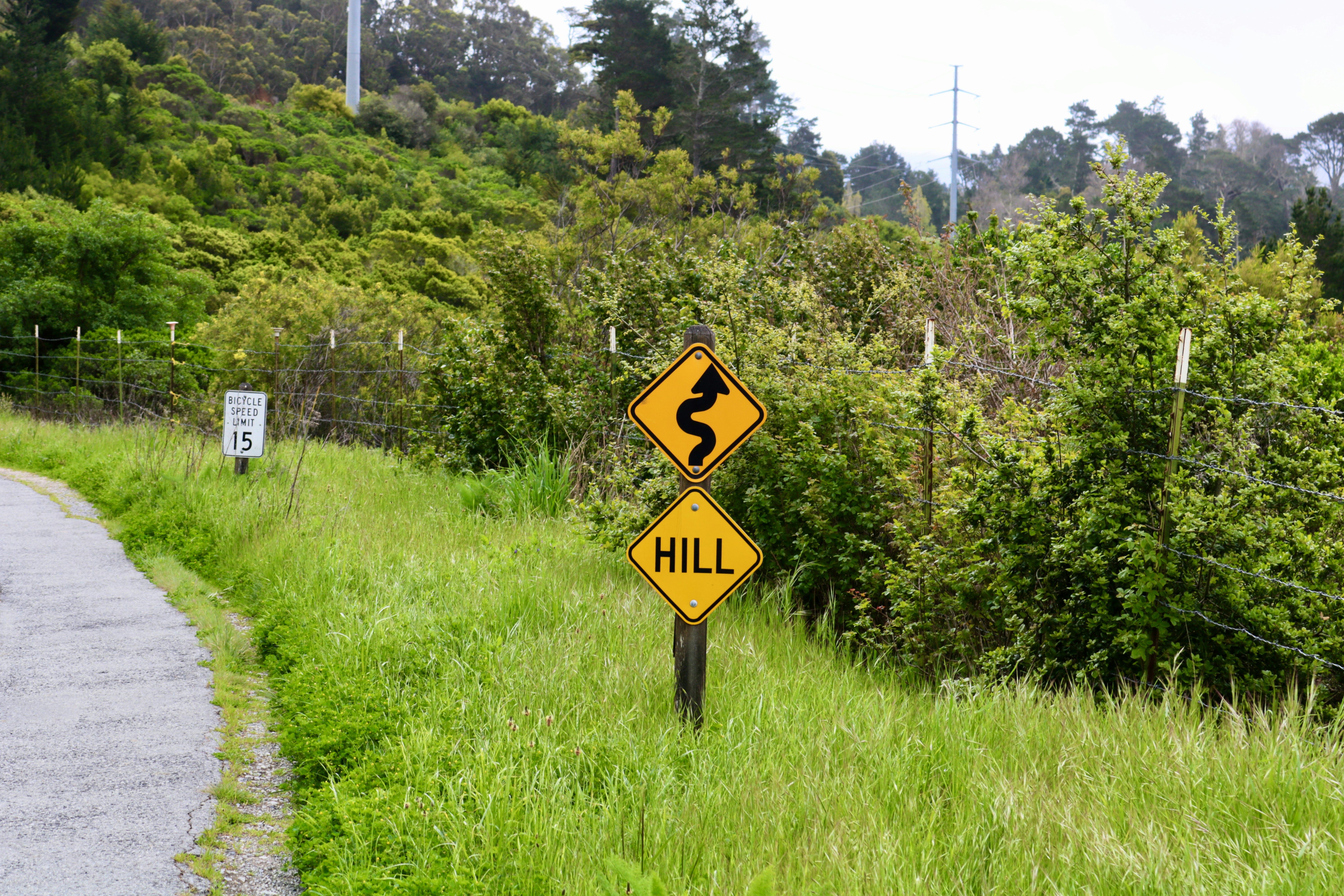 Curvy road sign warning of a hill, surrounded by lush greenery and a tranquil rural landscape.