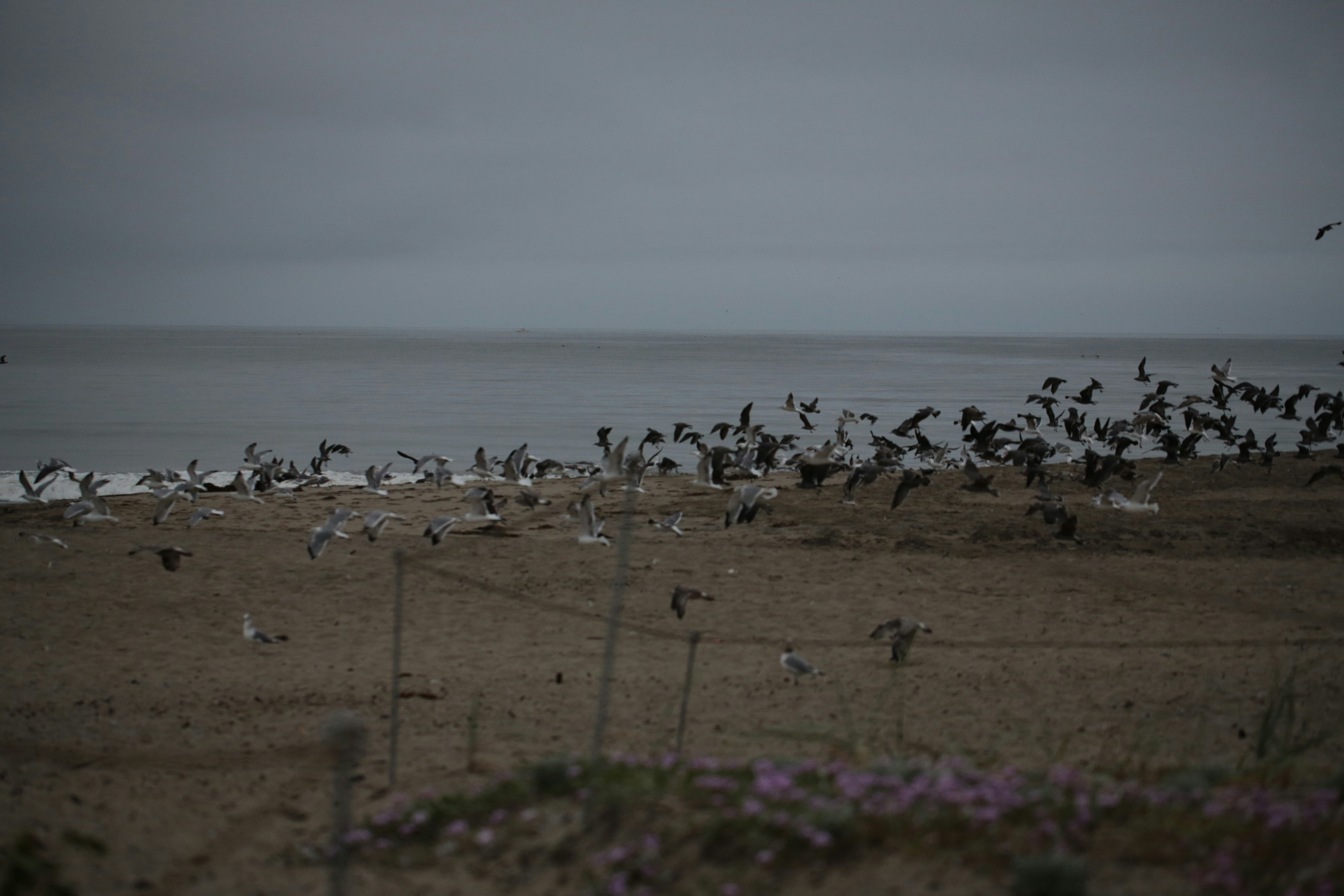 Photo by Sean Thoman with Canon EOS 5D Mark III