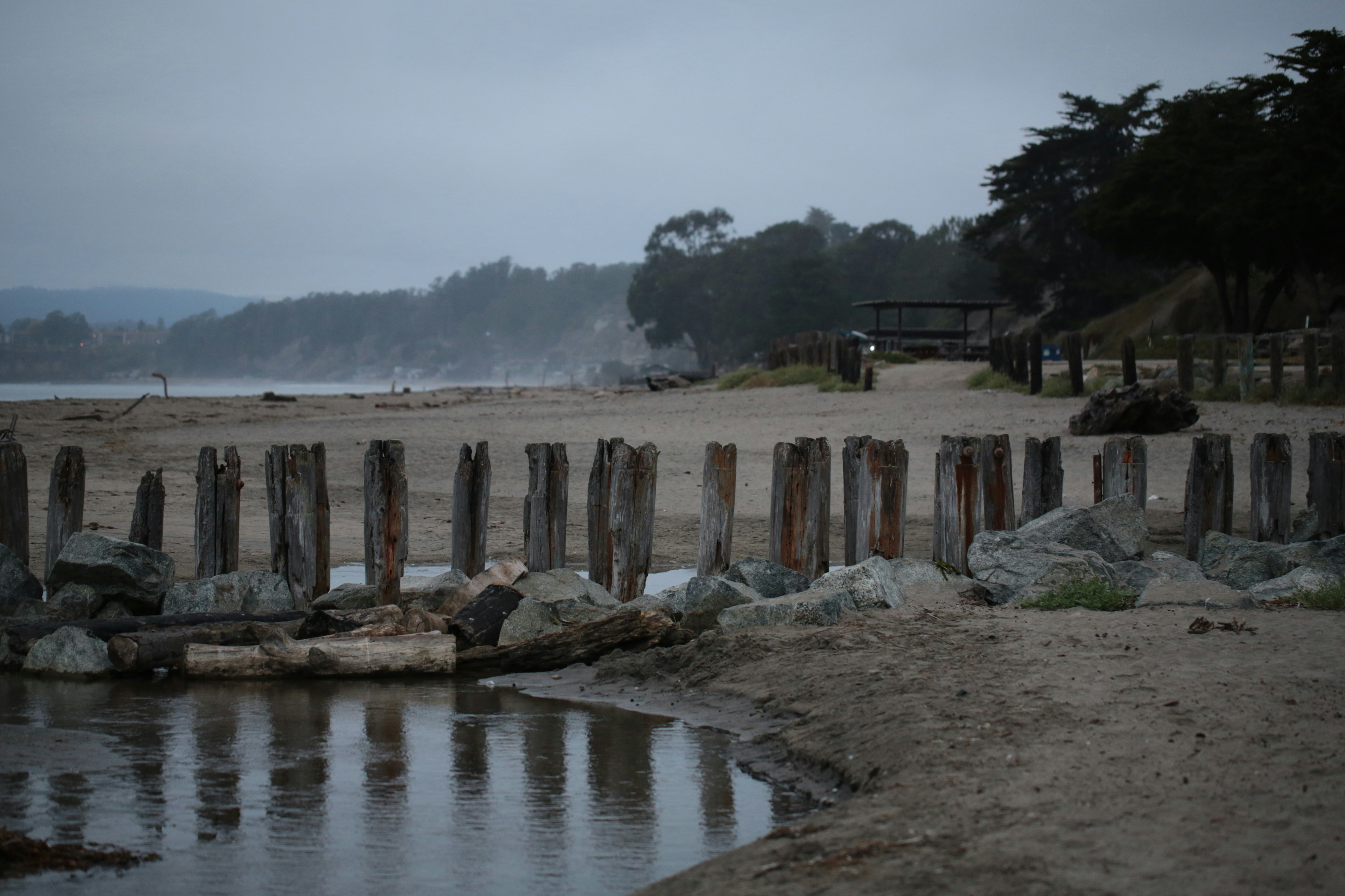 Weathered wooden posts line a tranquil beach, reflecting in calm waters under a gray sky.