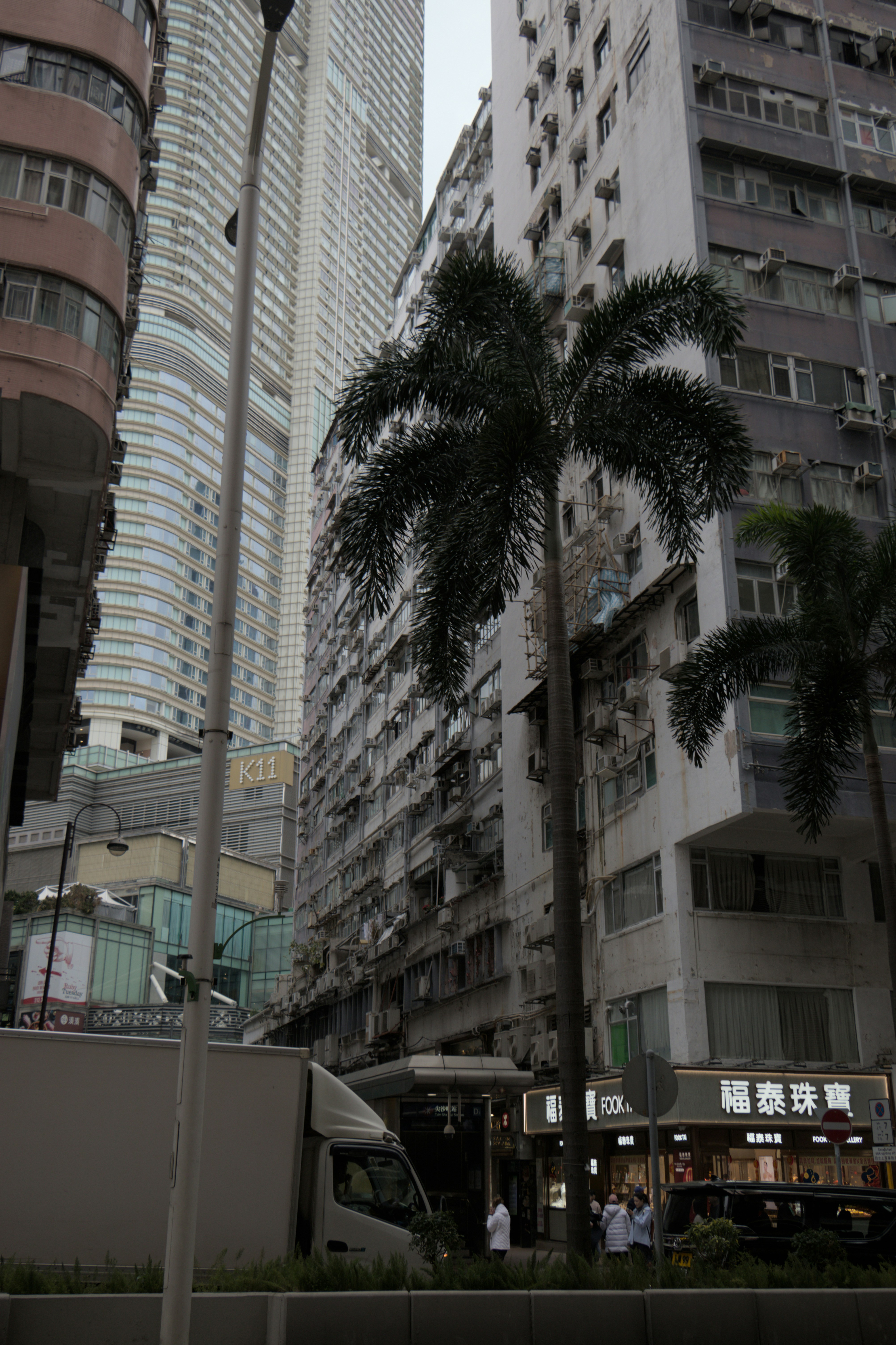 Tall buildings and palm trees in a city street.