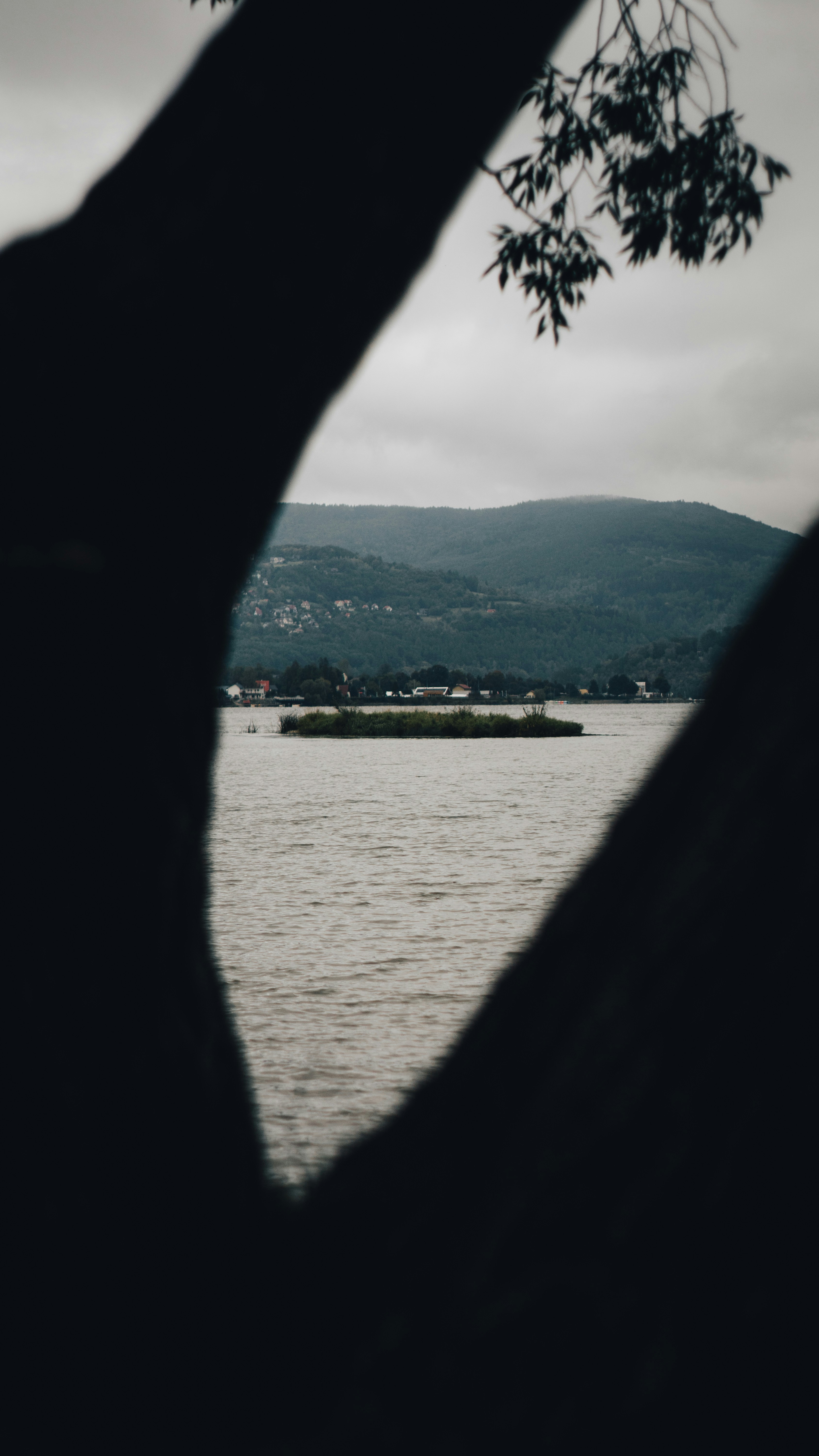 A tranquil view of a small island framed by tree branches, set against a backdrop of distant mountains and a moody sky.