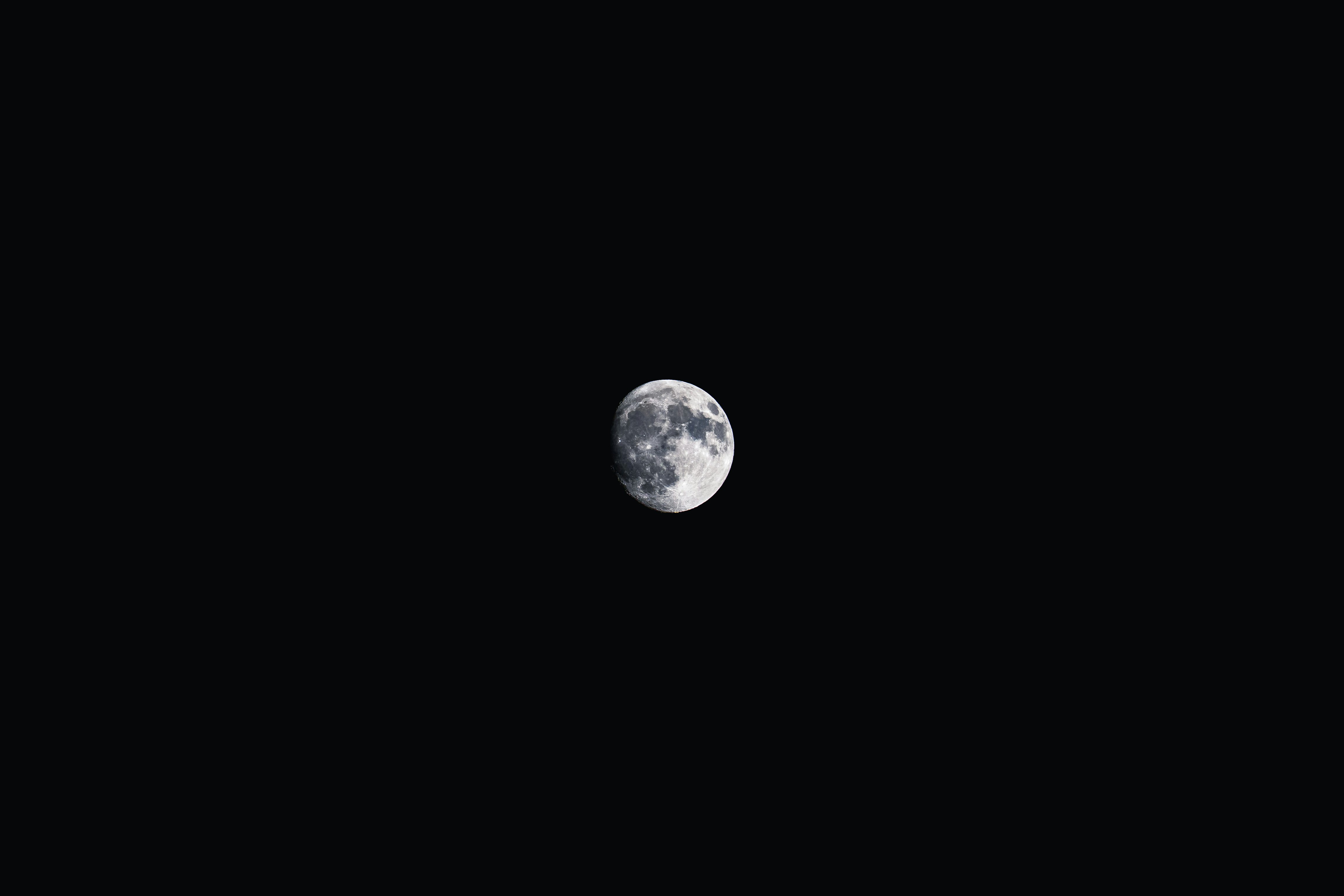 Lunar Serenity: A Celestial Encounter