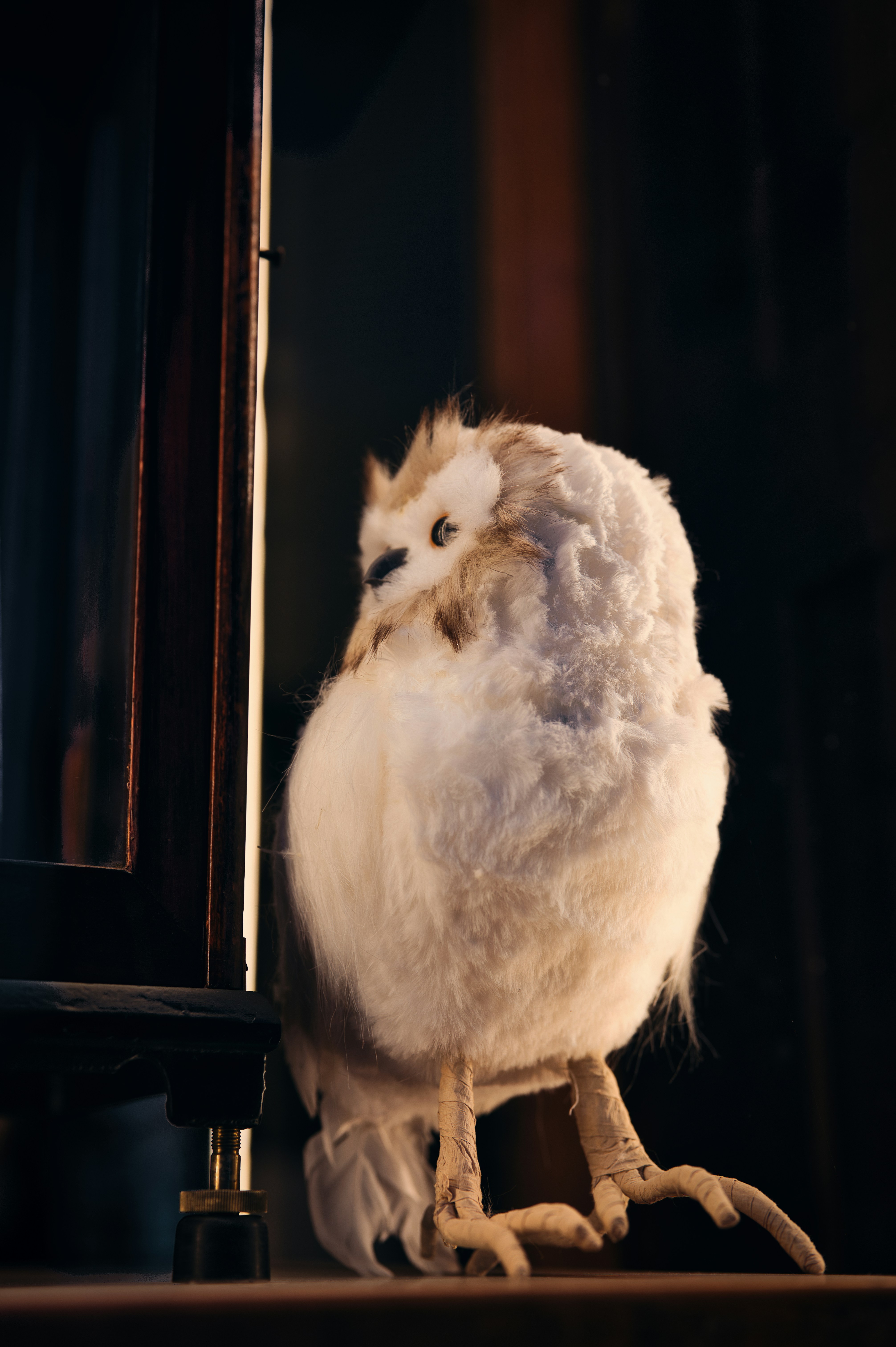 Fluffy owl figurine with large eyes sits indoors.