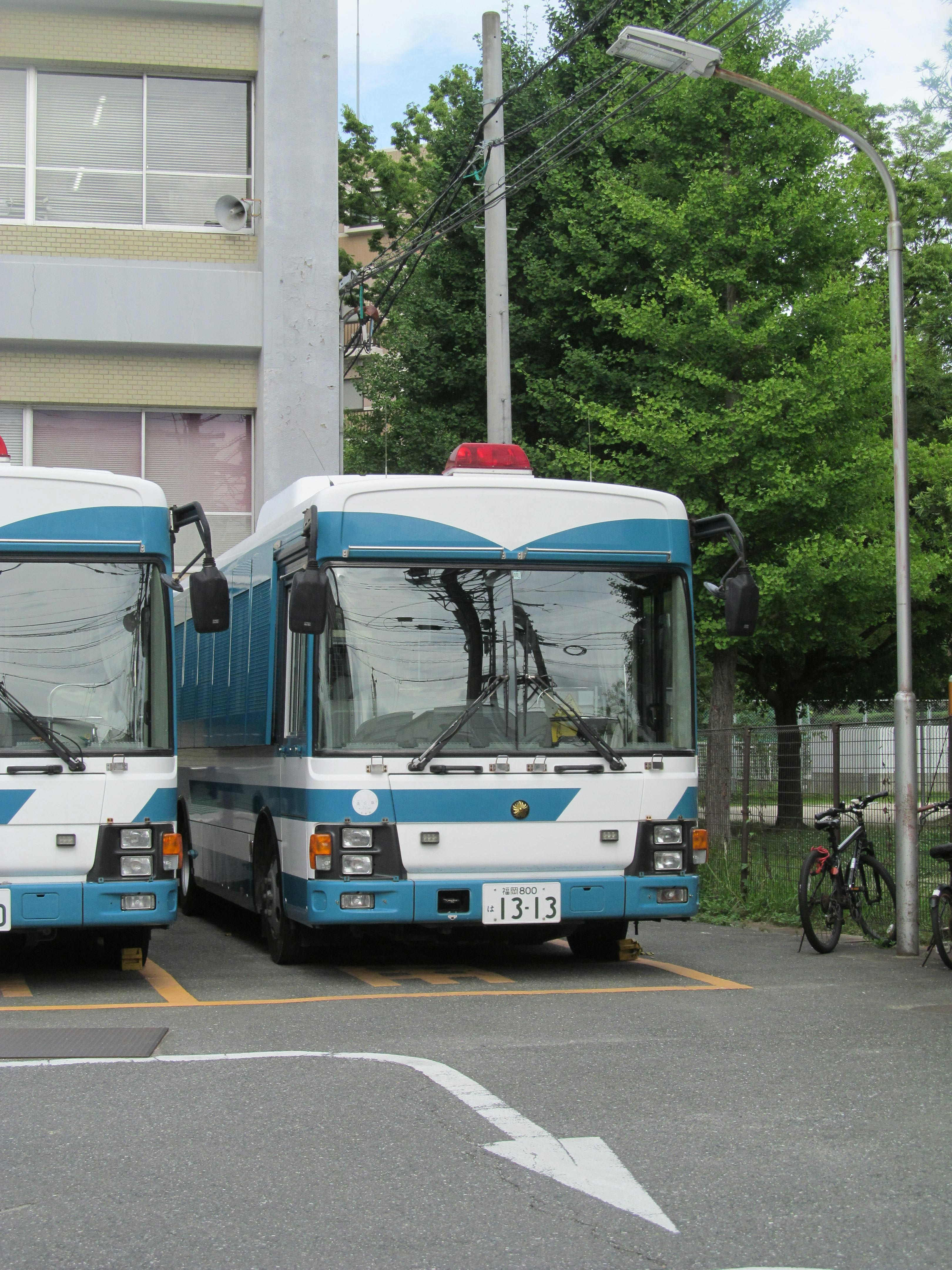 Two blue and white buses parked outside building