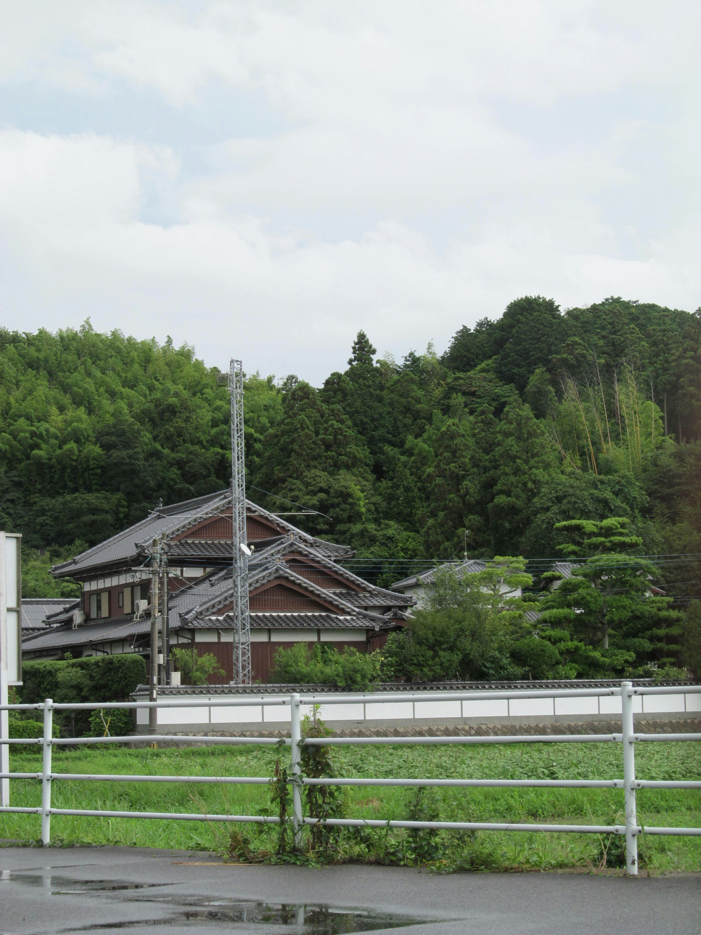 Traditional japanese house surrounded by lush green trees.