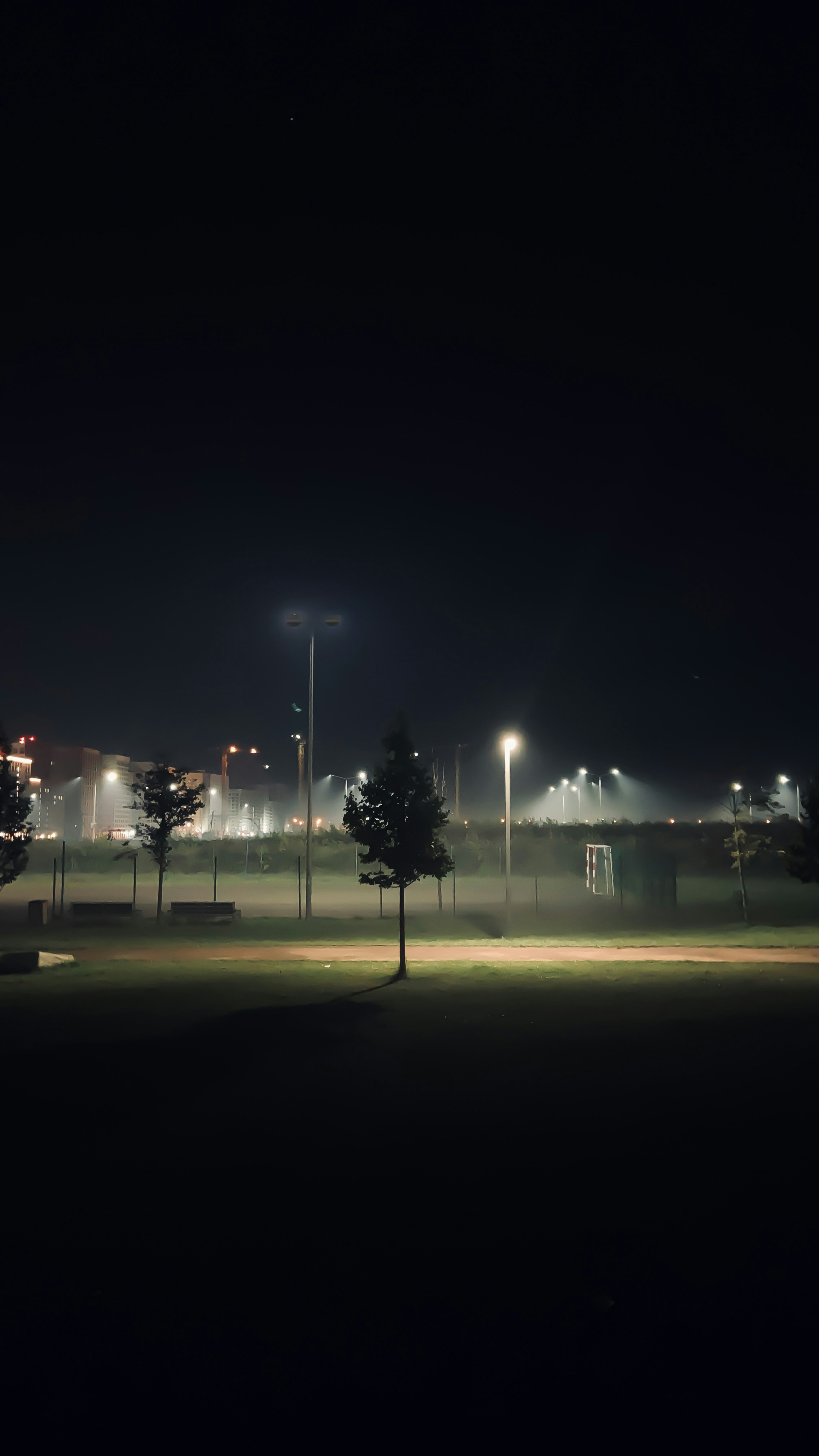 Night park | A lone tree stands in a foggy park at night.