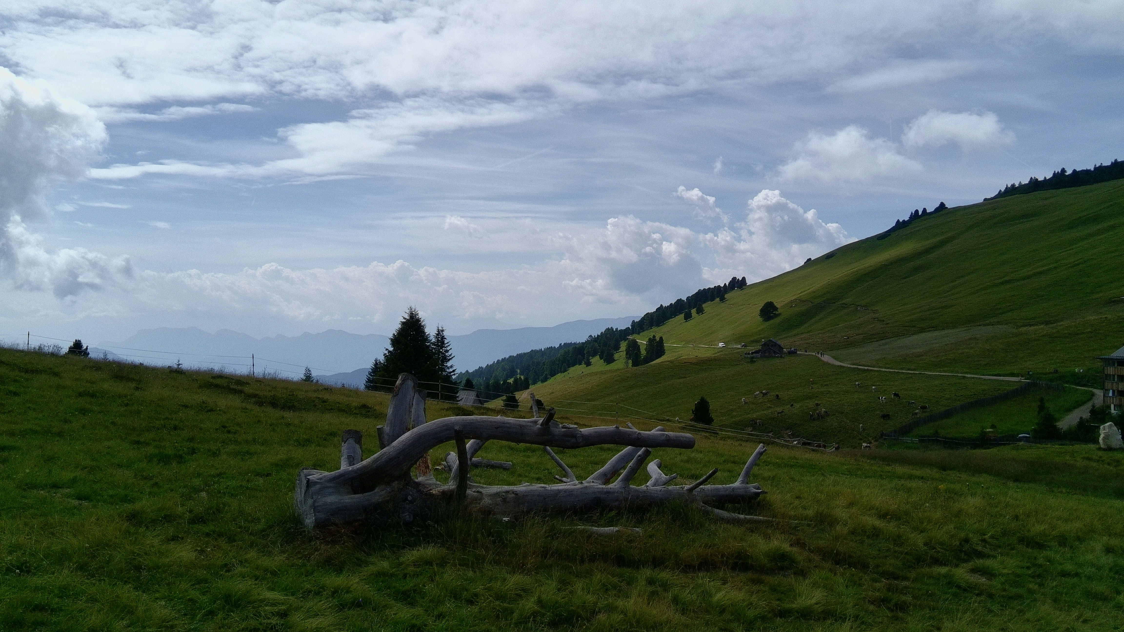 Green mountain slope with fallen tree and distant clouds