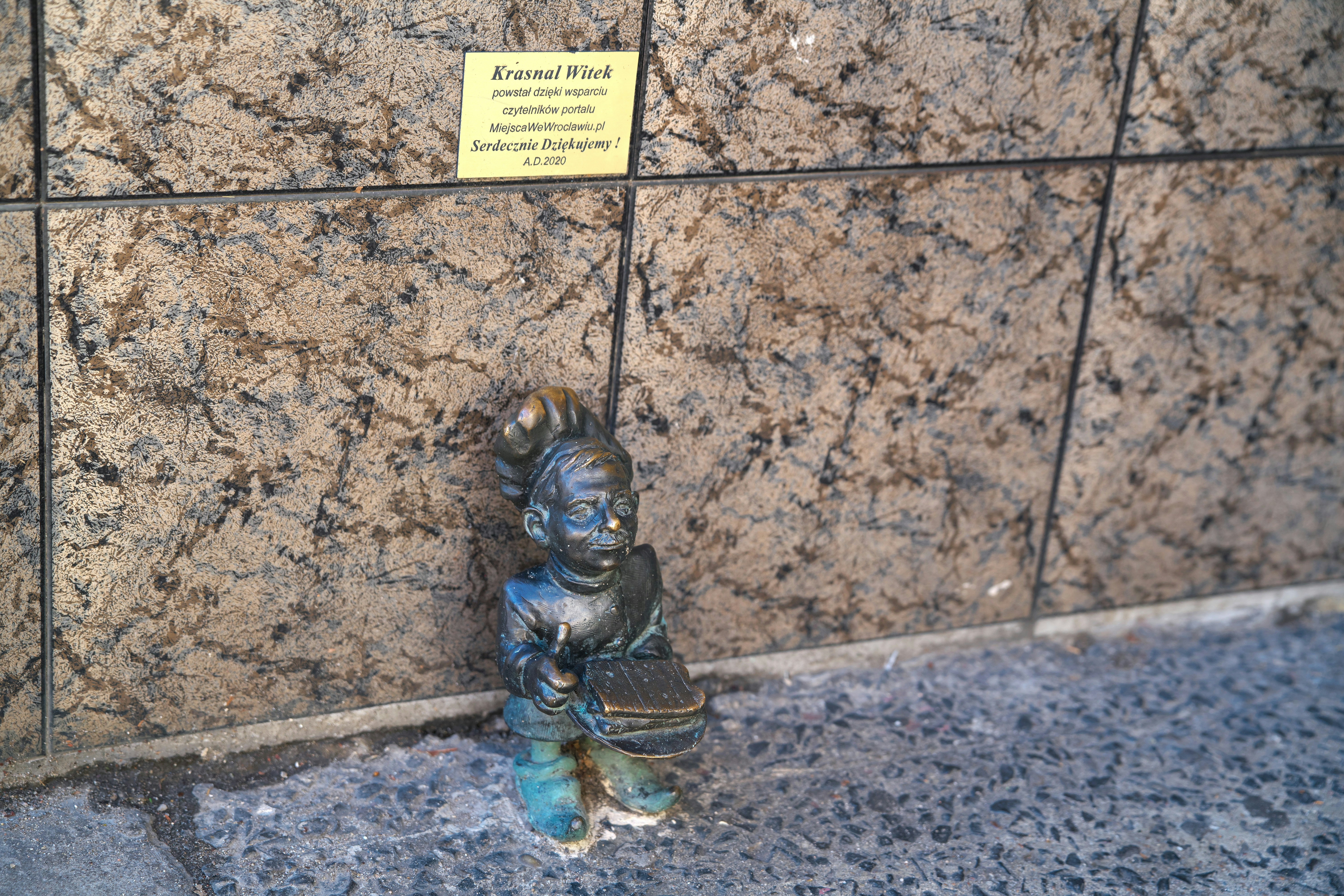 A colorful bird stands by a textured wall.