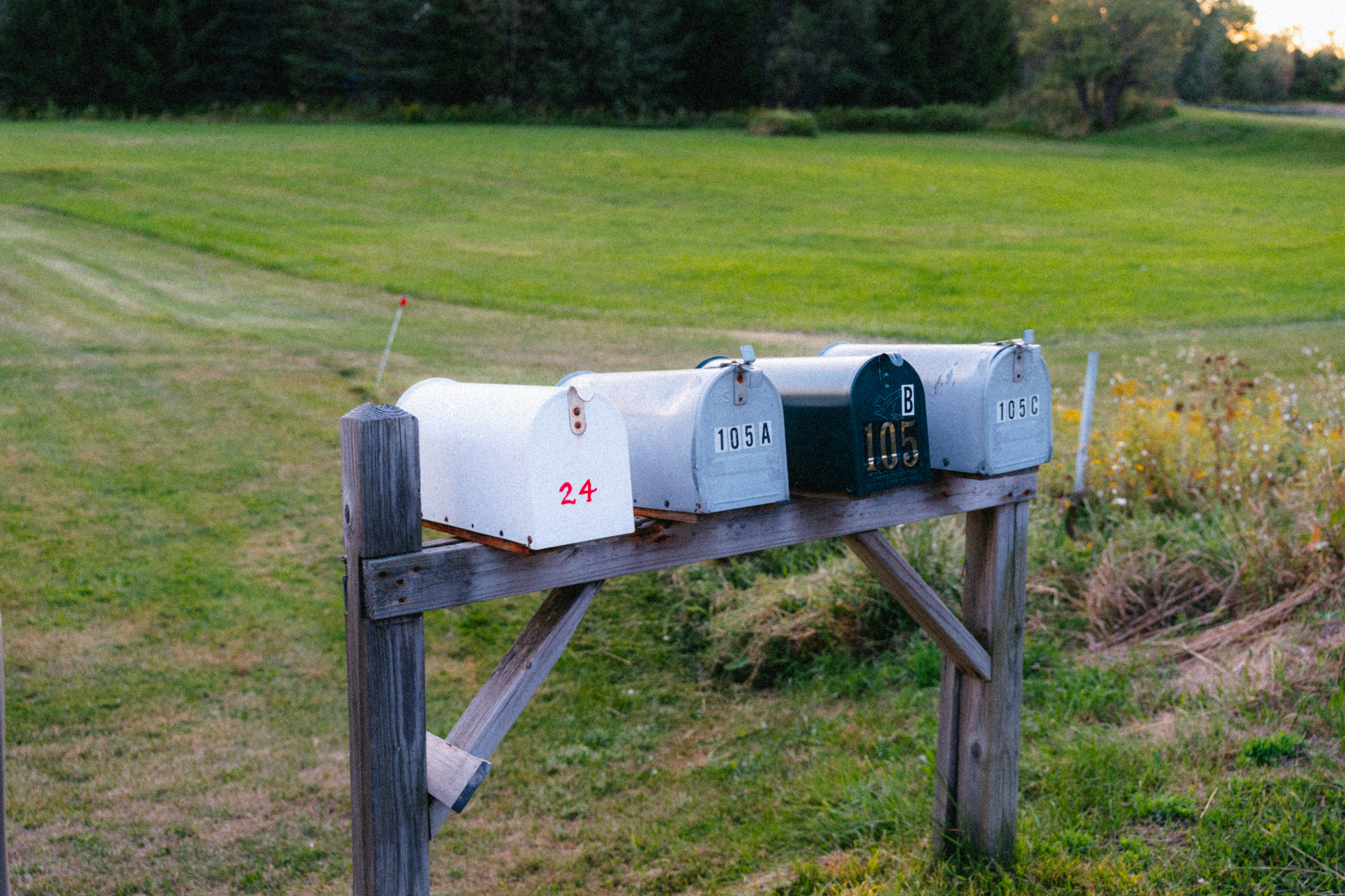 Chronicles of the Neighborhood: A Mailbox Gathering