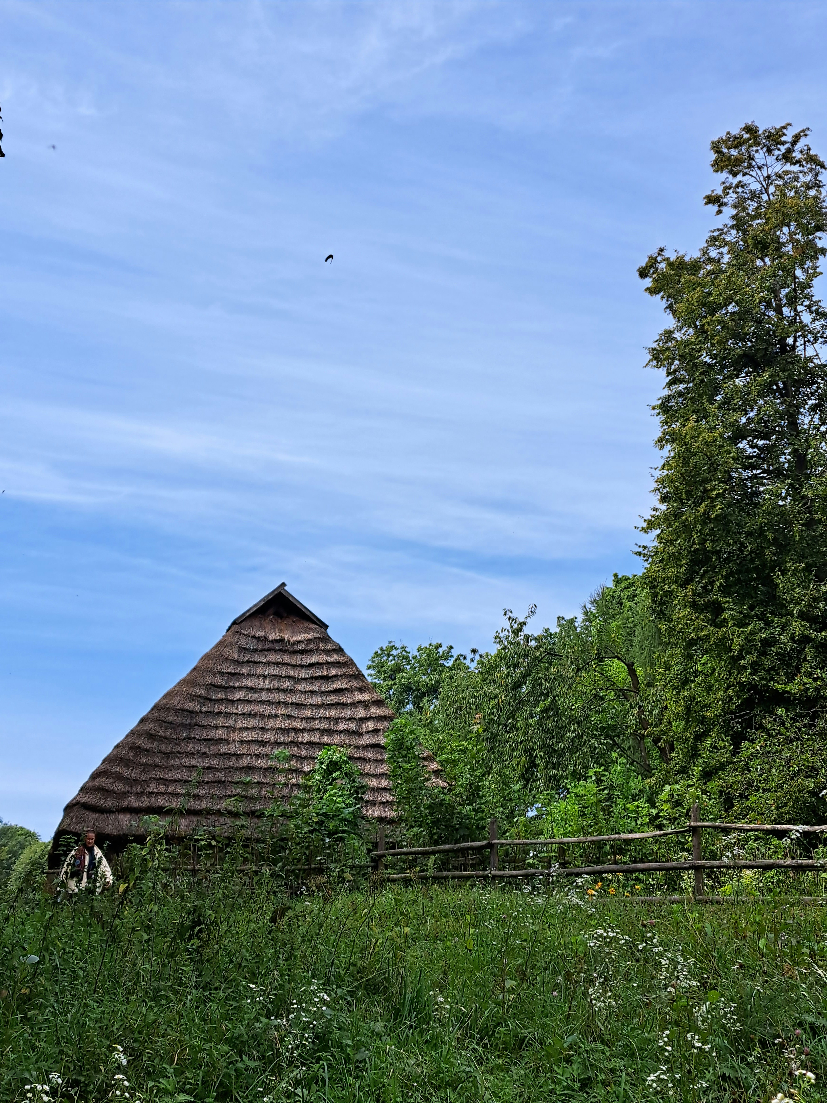 Whispers of Tradition: A Thatched Roof Retreat