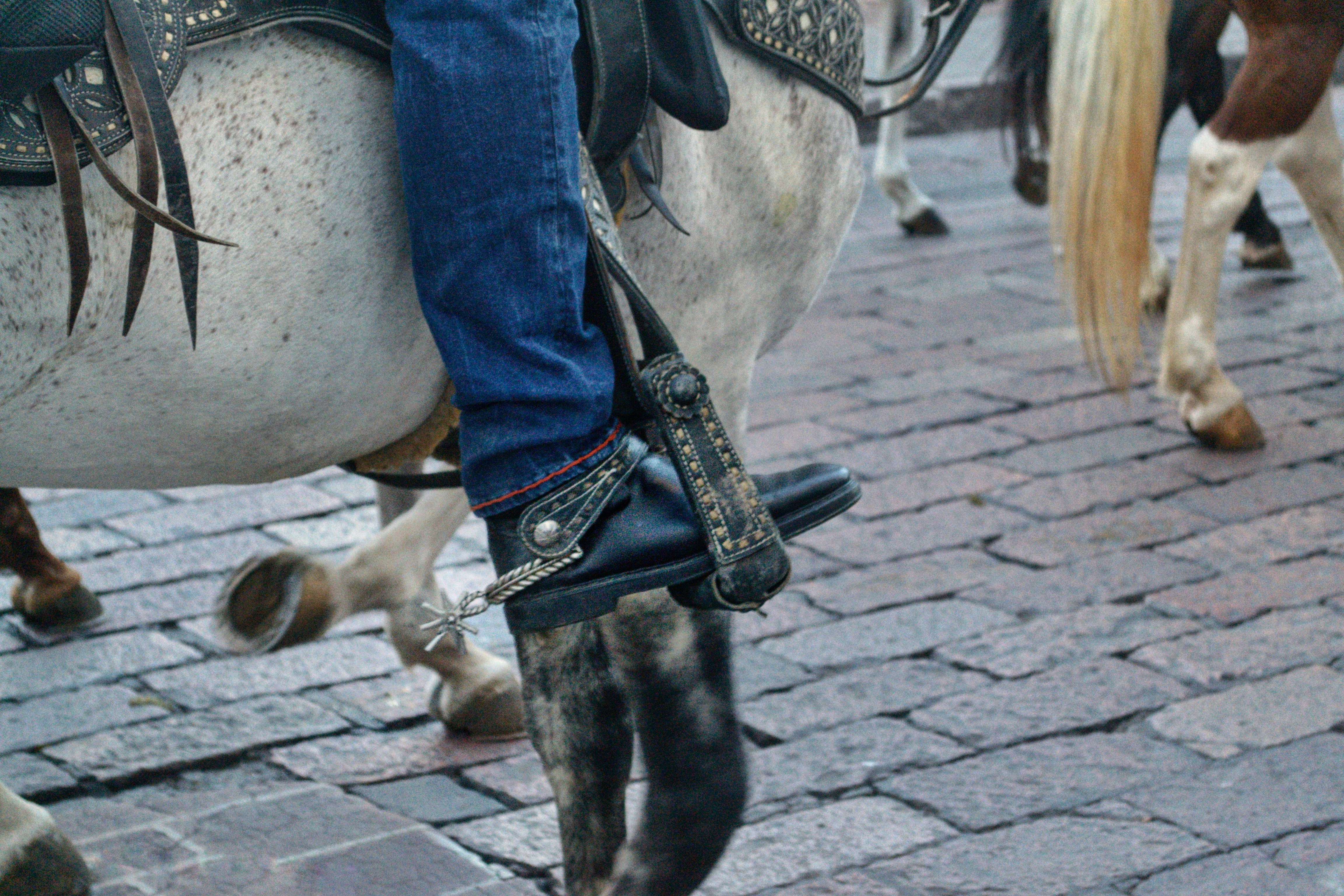 Blue-Stitched Boot in a Stirrup Over Cobblestones
