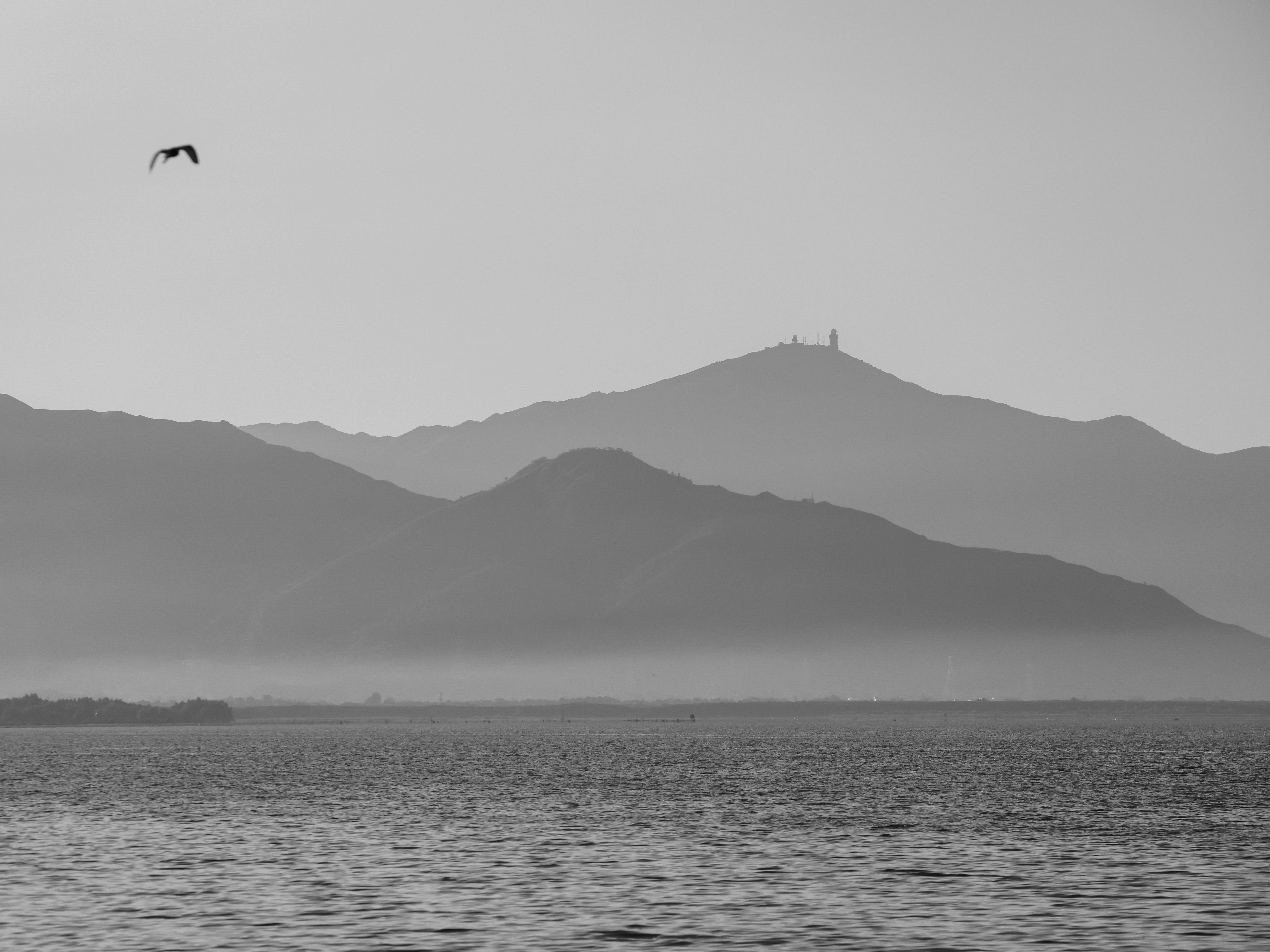 A solitary bird glides above tranquil waters, framed by layered mountains under a soft haze.