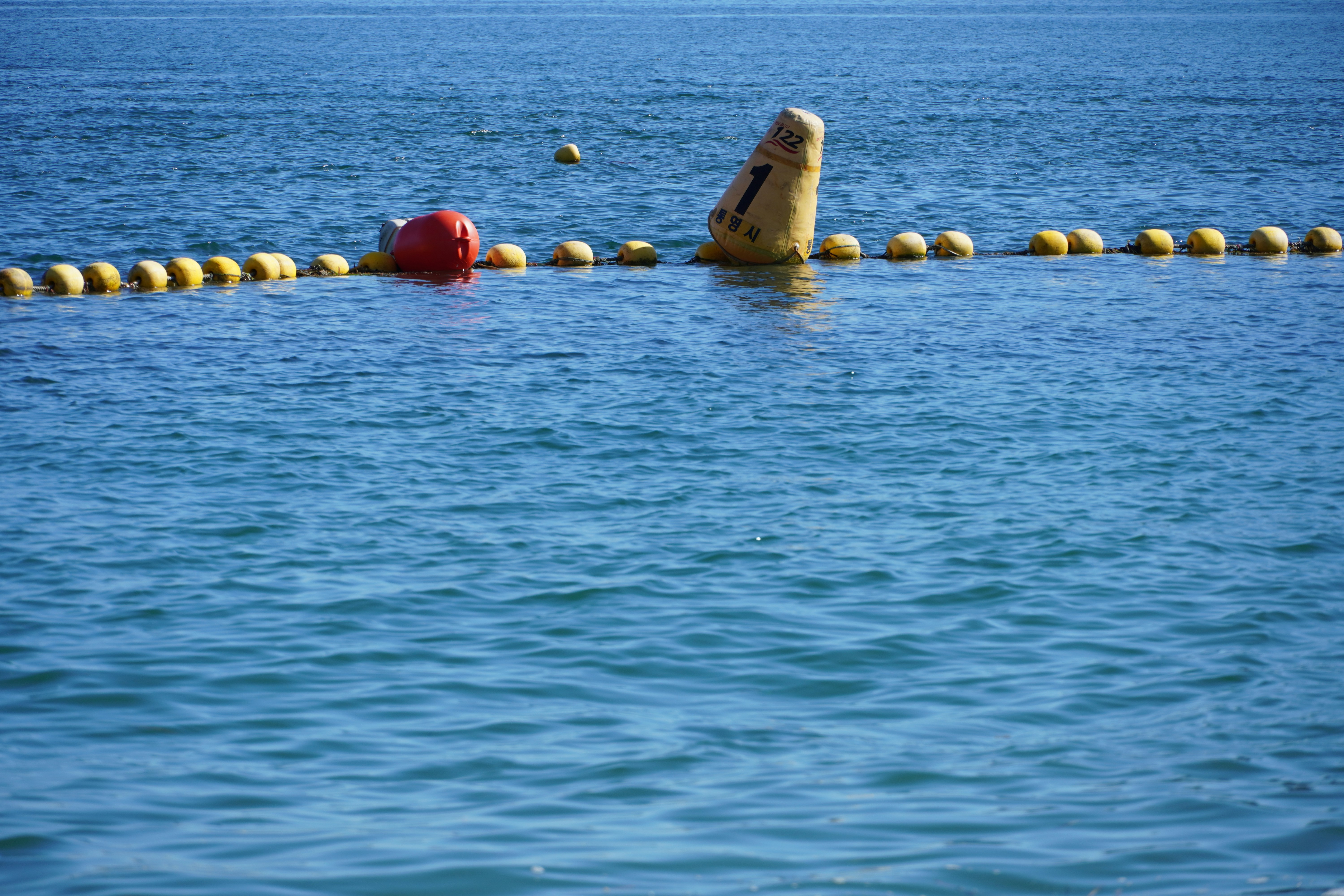Buoys in Tranquil Waters