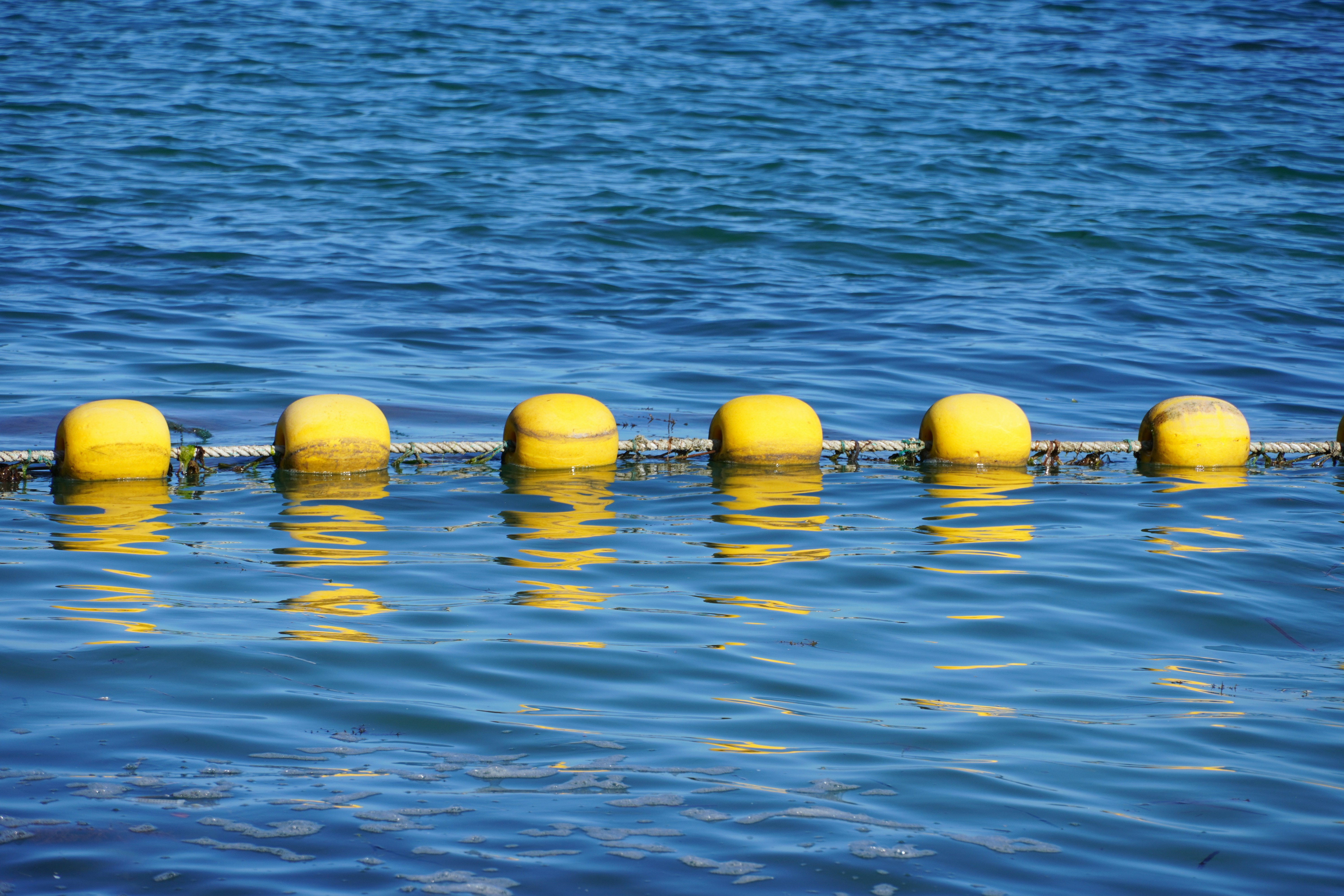 Yellow Buoys Align in a Glassy Blue Channel
