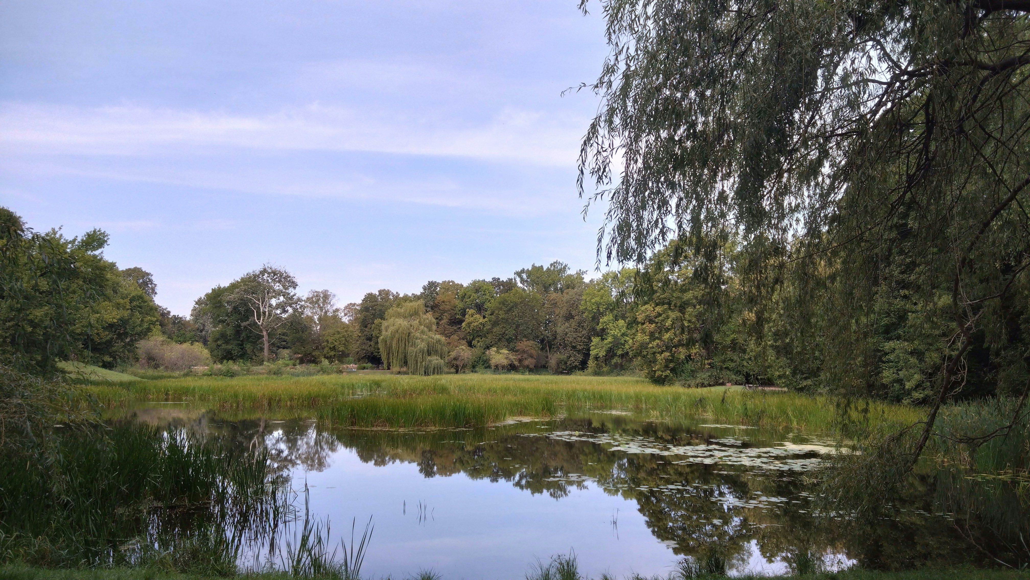 Calm pond reflecting trees and sky under a cloudy day.