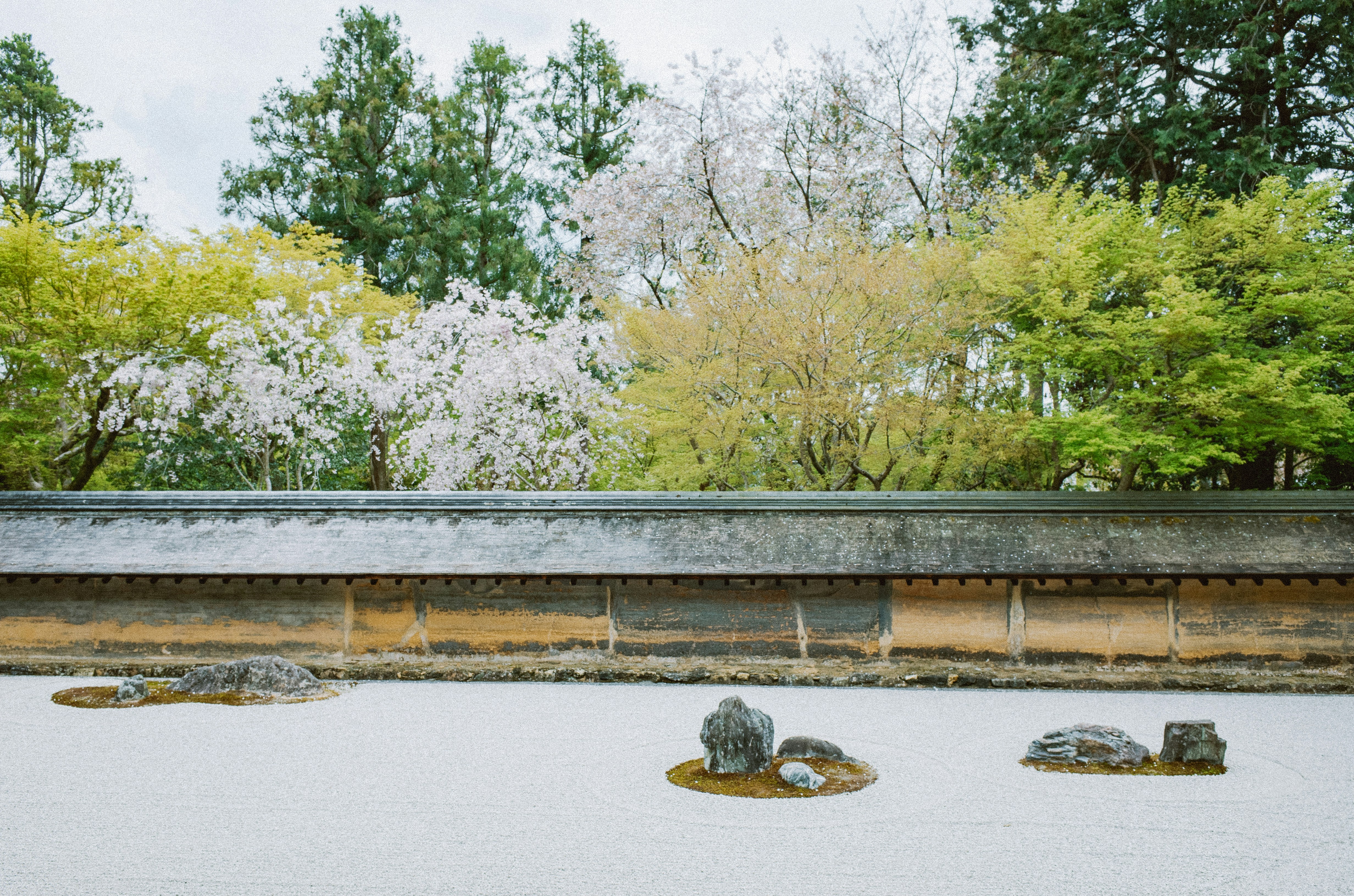 Stone Islands and Silent Gravel: A Zen Garden in Bloom