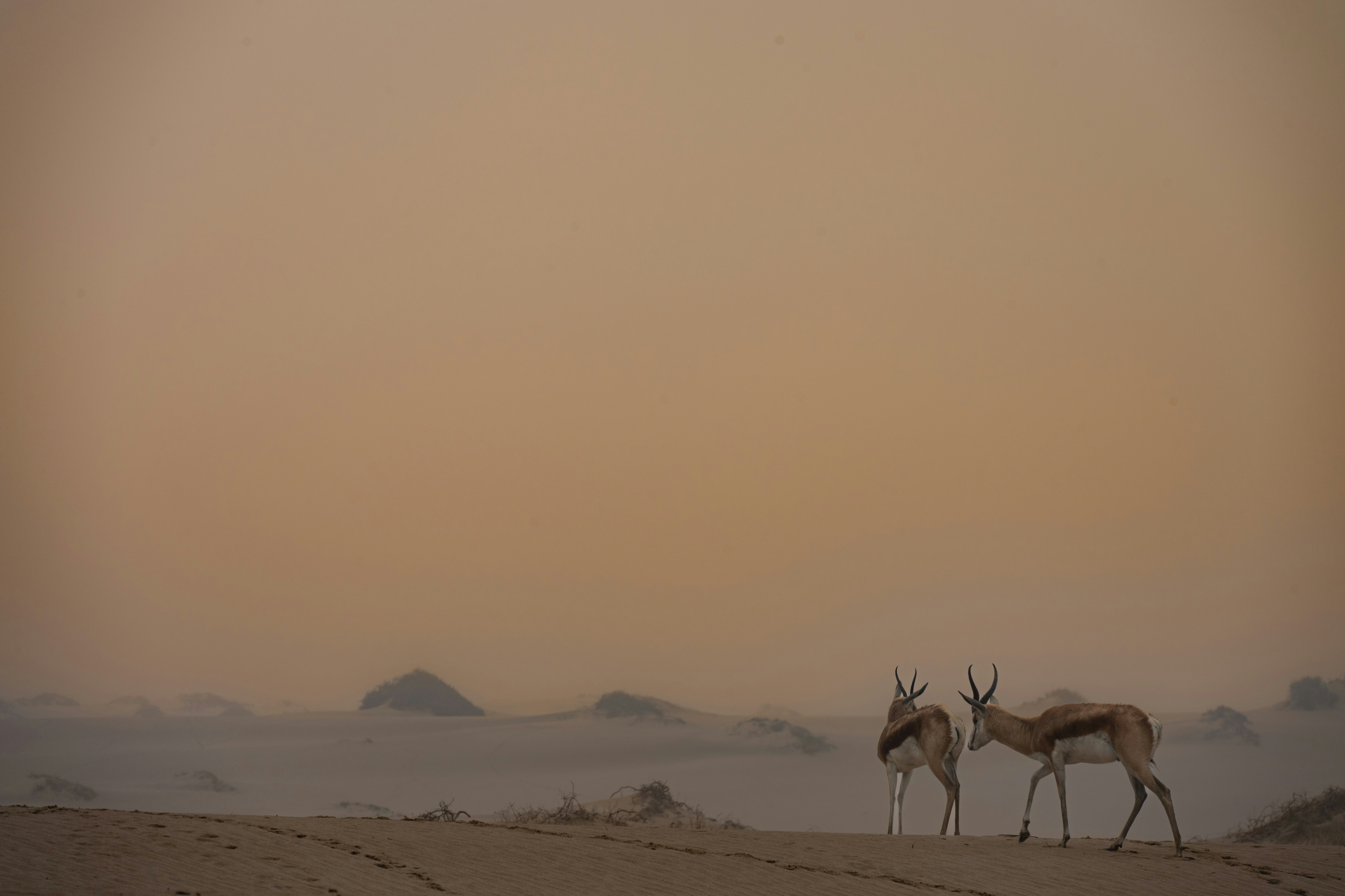 Photo by gaetano d’abramo with Nikon Z6 III