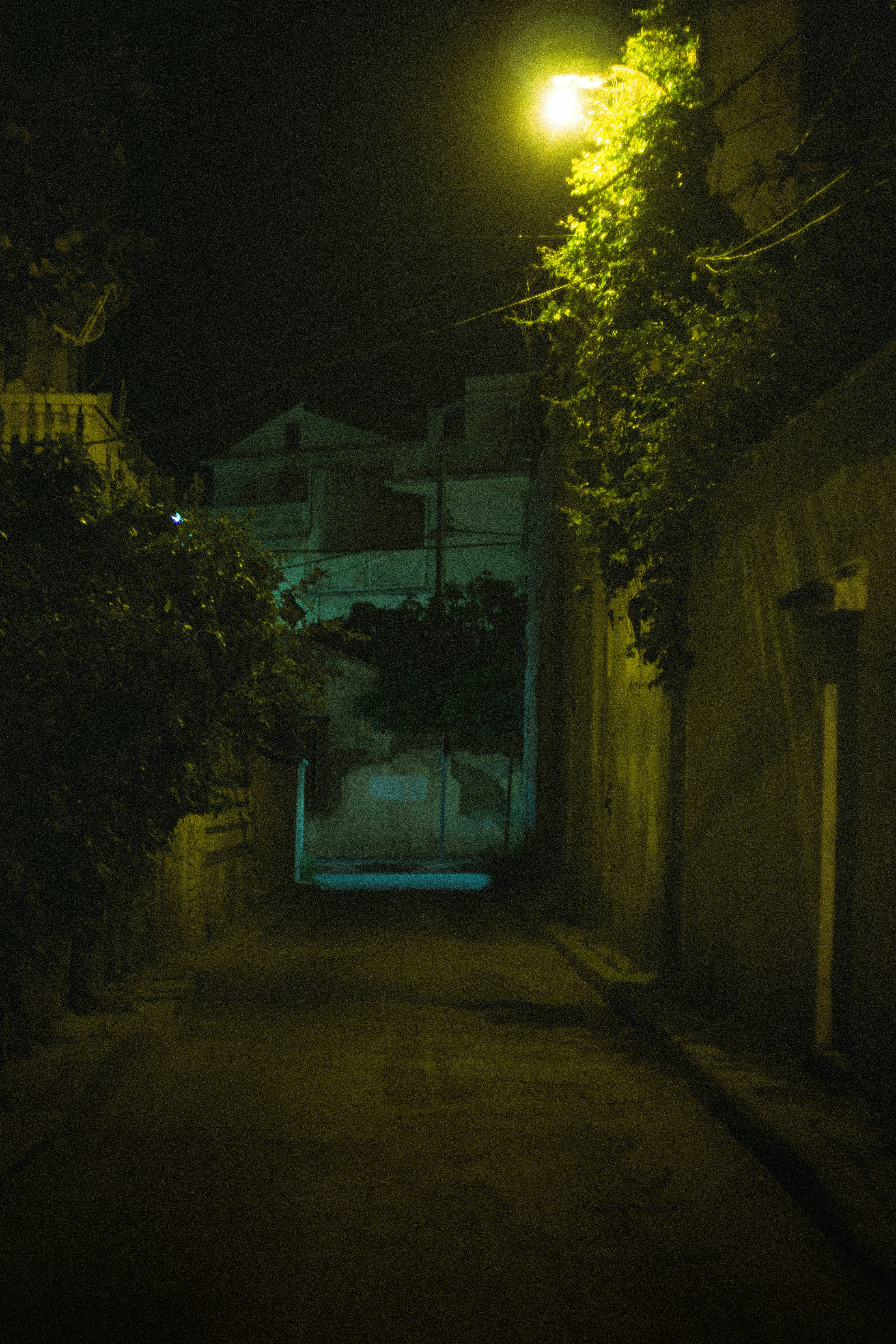 Whispers of the Night: A Hidden Pathway